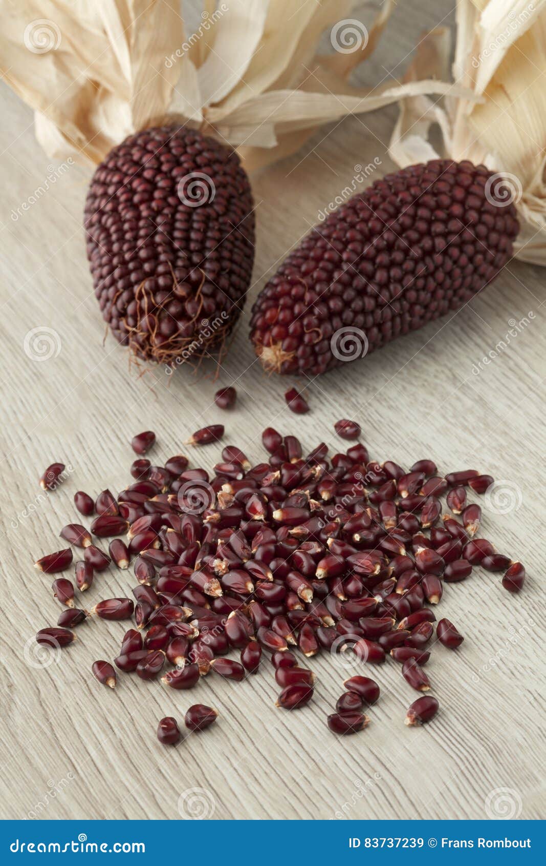 Strawberry Popcorn Corn Seeds Stock Image - Image of edible, dried ...