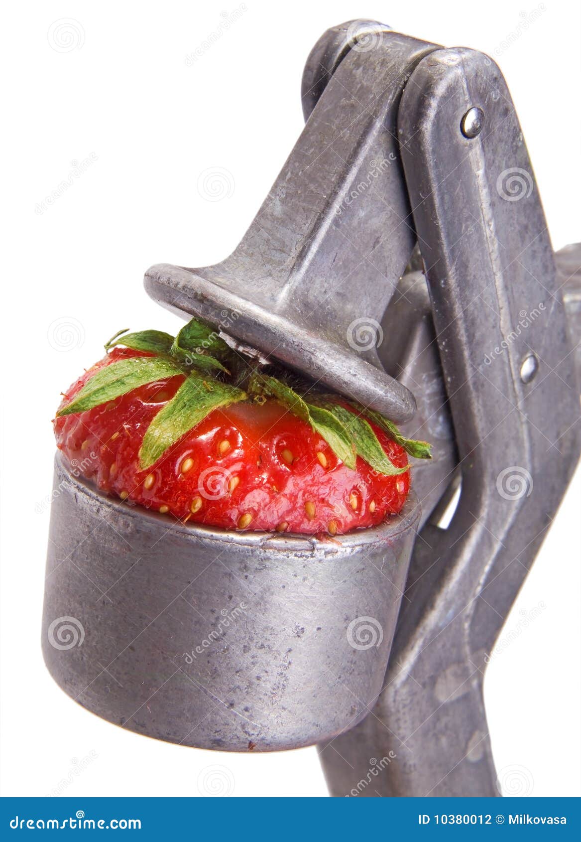 Strawberry in press stock photo. Image of fresh, compress - 10380012
