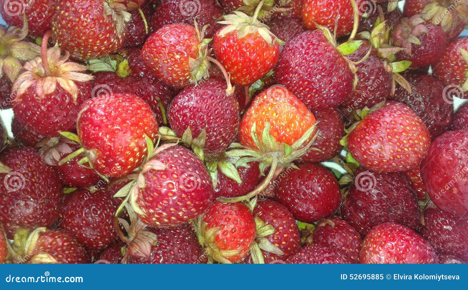 Strawberry ripe stock image. Image of frame, edible, pieces - 52695885