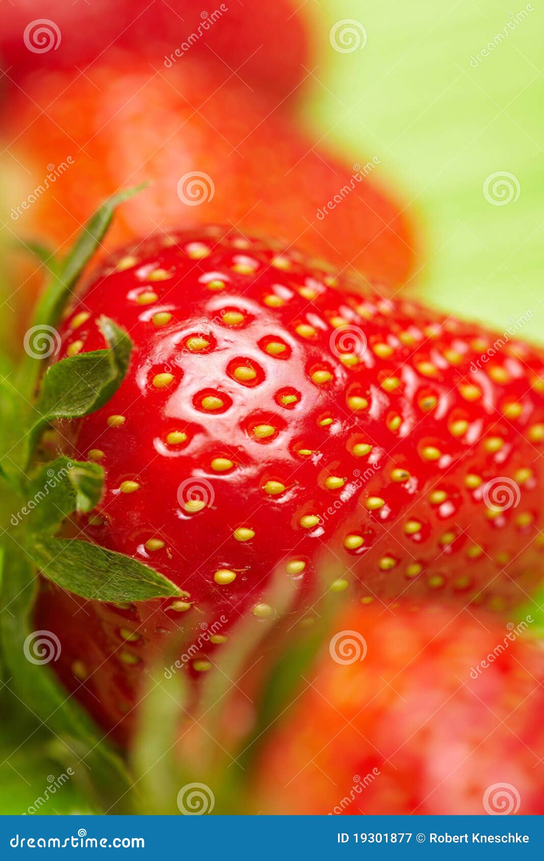 Strawberry seeds stock image. Image of texture, freshness - 19301877
