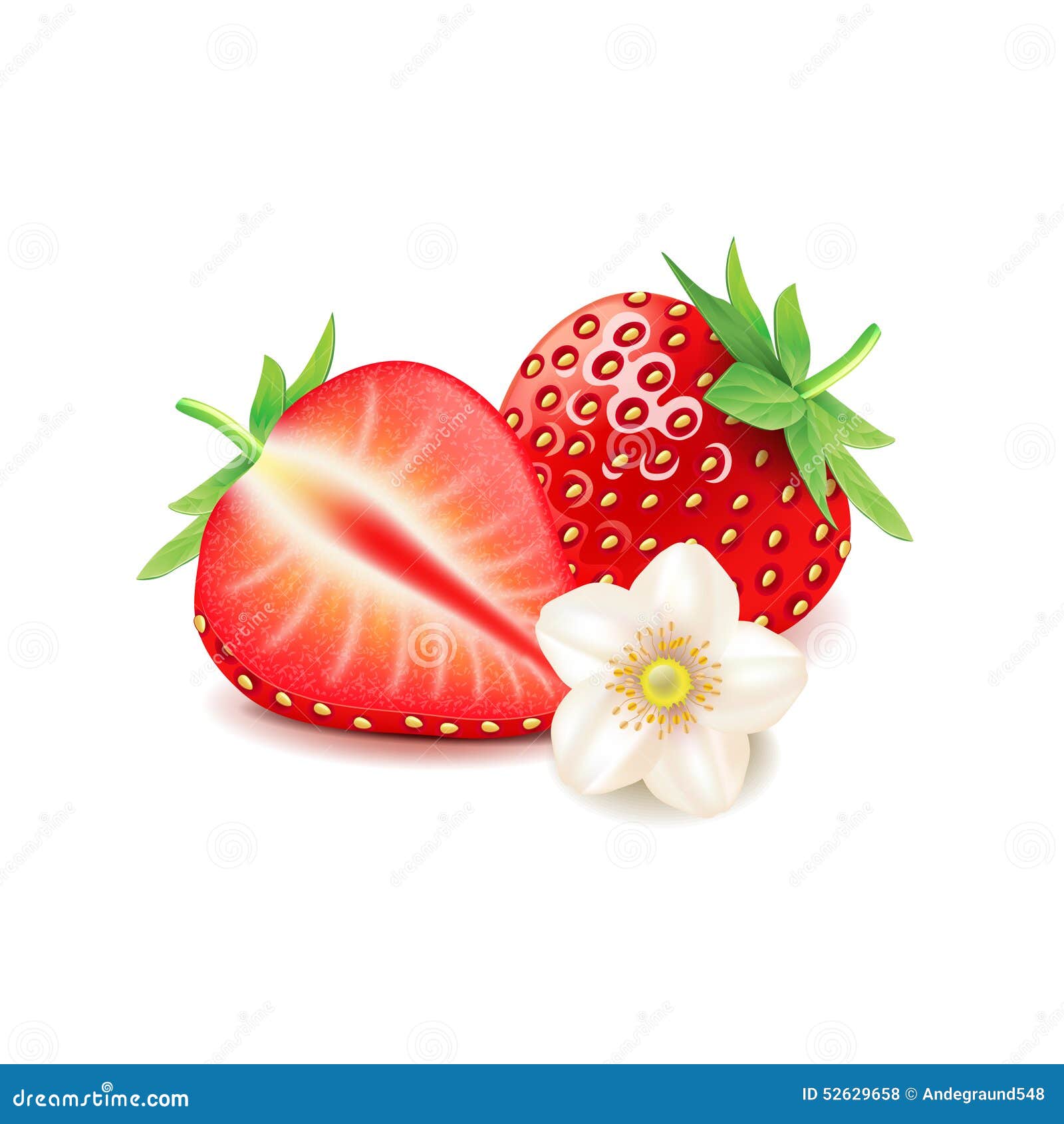 Strawberry and Slice on White Vector Stock Vector - Illustration of ...