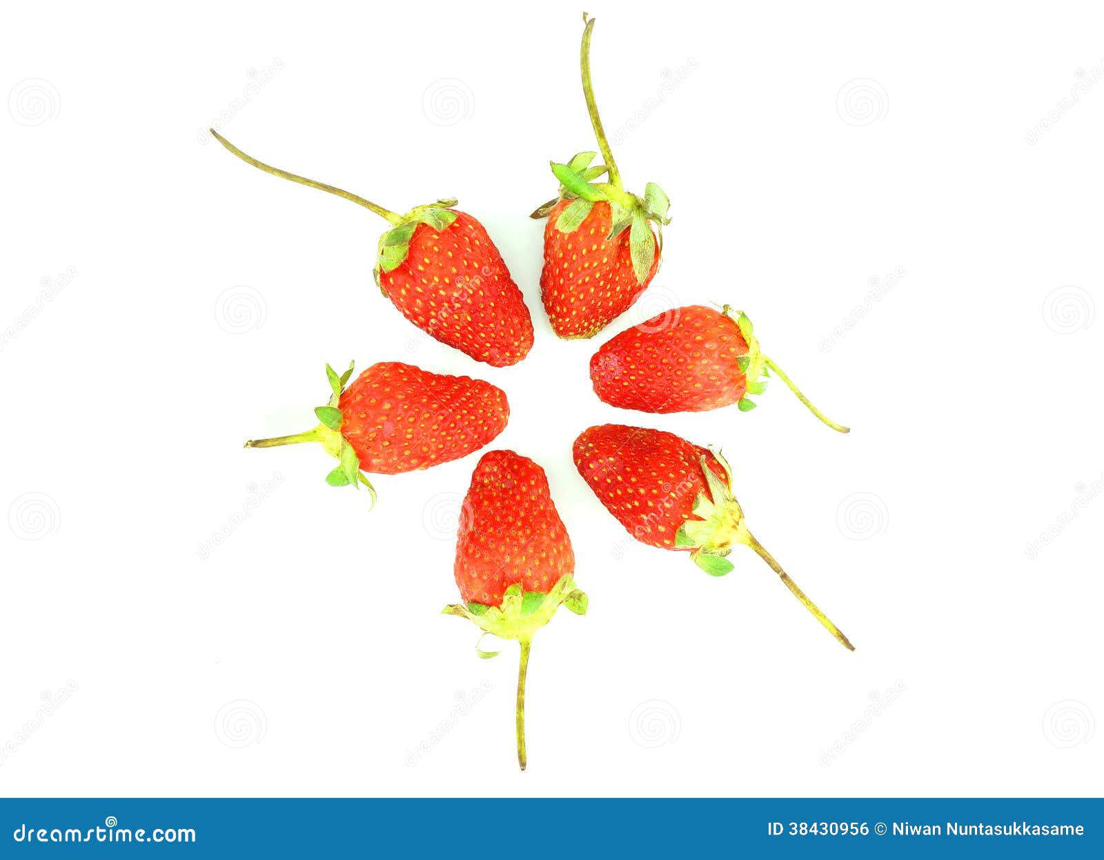 Strawberry with stalk stock photo. Image of vitamin, leaf - 38430956