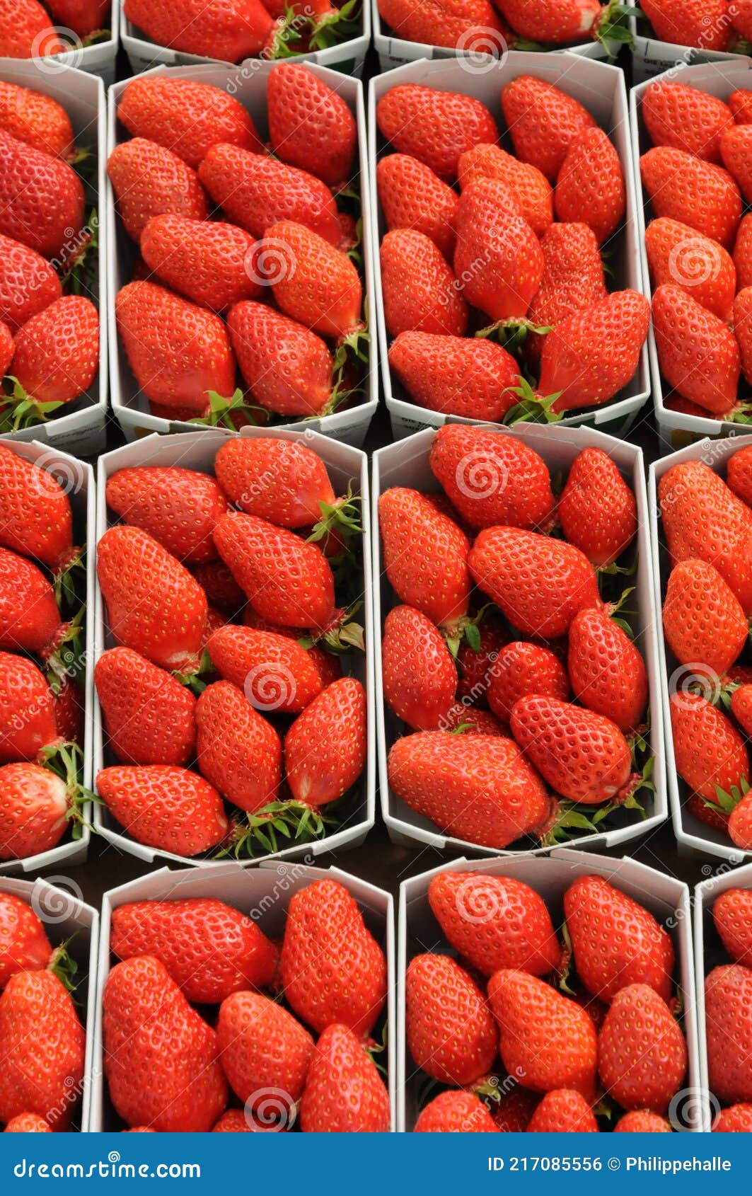 Strawberry stock photo. Image of strawberries, stall - 217085556