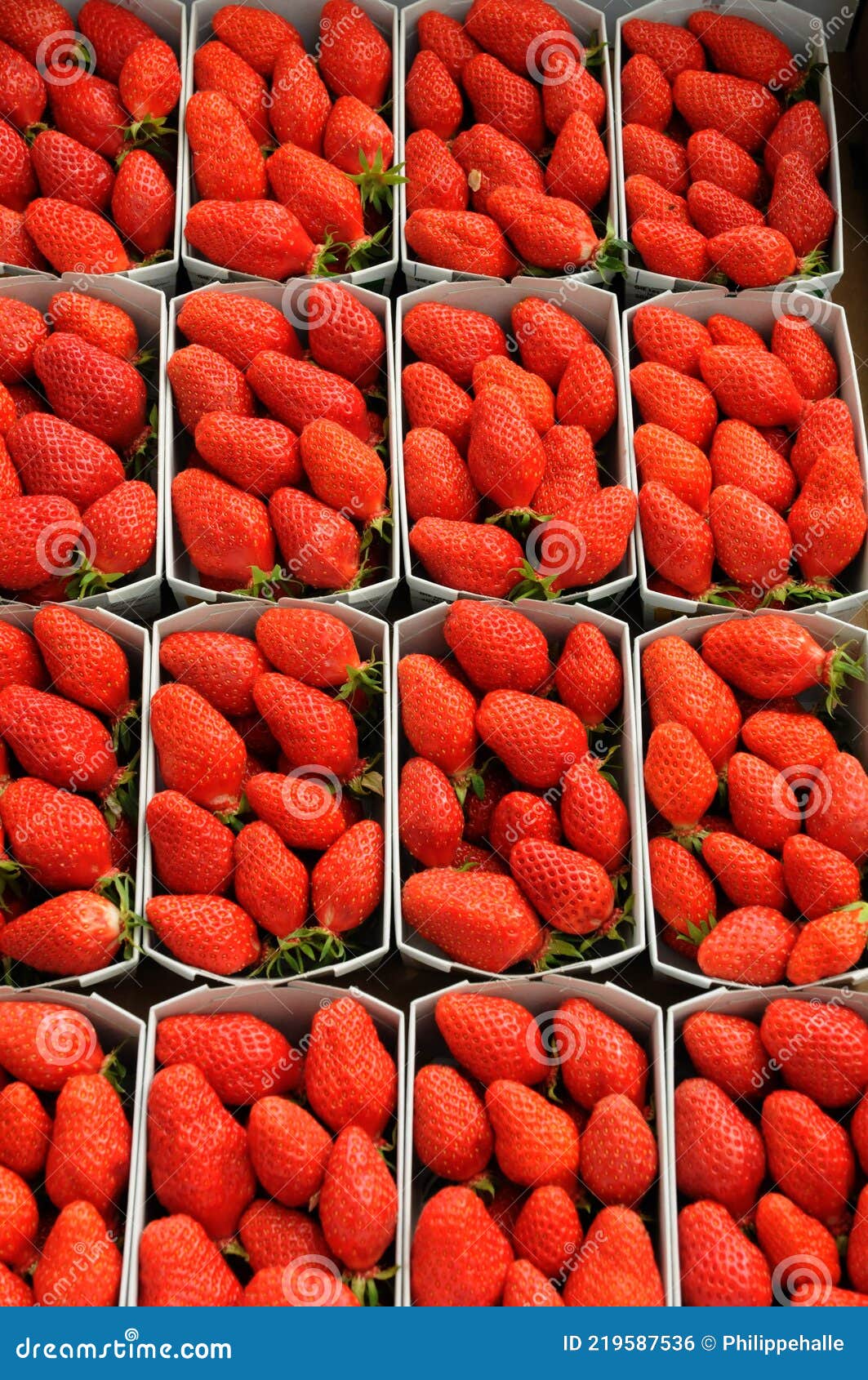 Stall of strawberries editorial photo. Image of food - 219587536