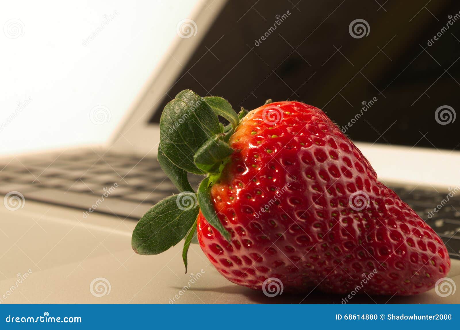 Strawberry tech stock photo. Image of closeup, open, gourmet - 68614880