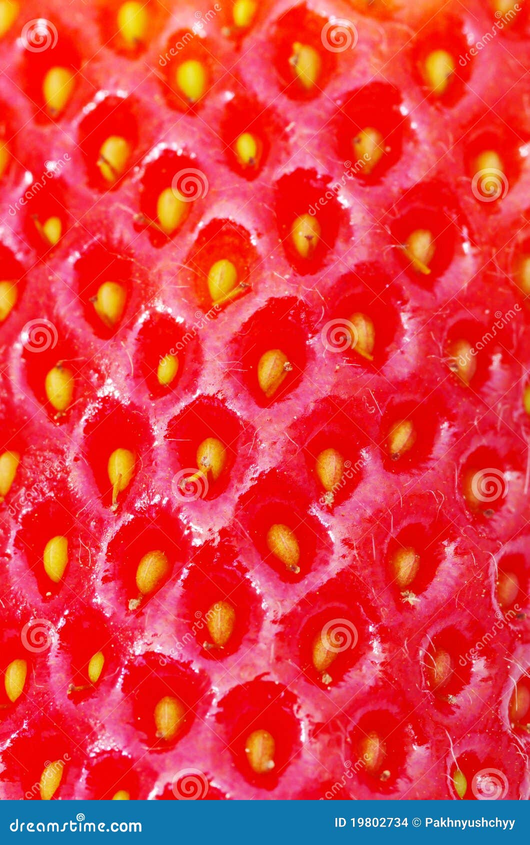 Strawberry Texture Royalty-Free Stock Photography | CartoonDealer.com ...