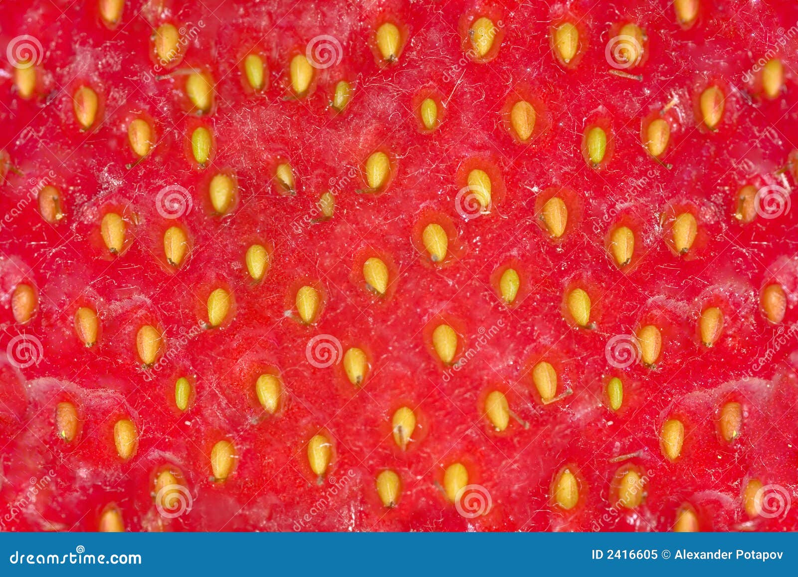 Strawberry texture stock image. Image of berries, color - 2416605