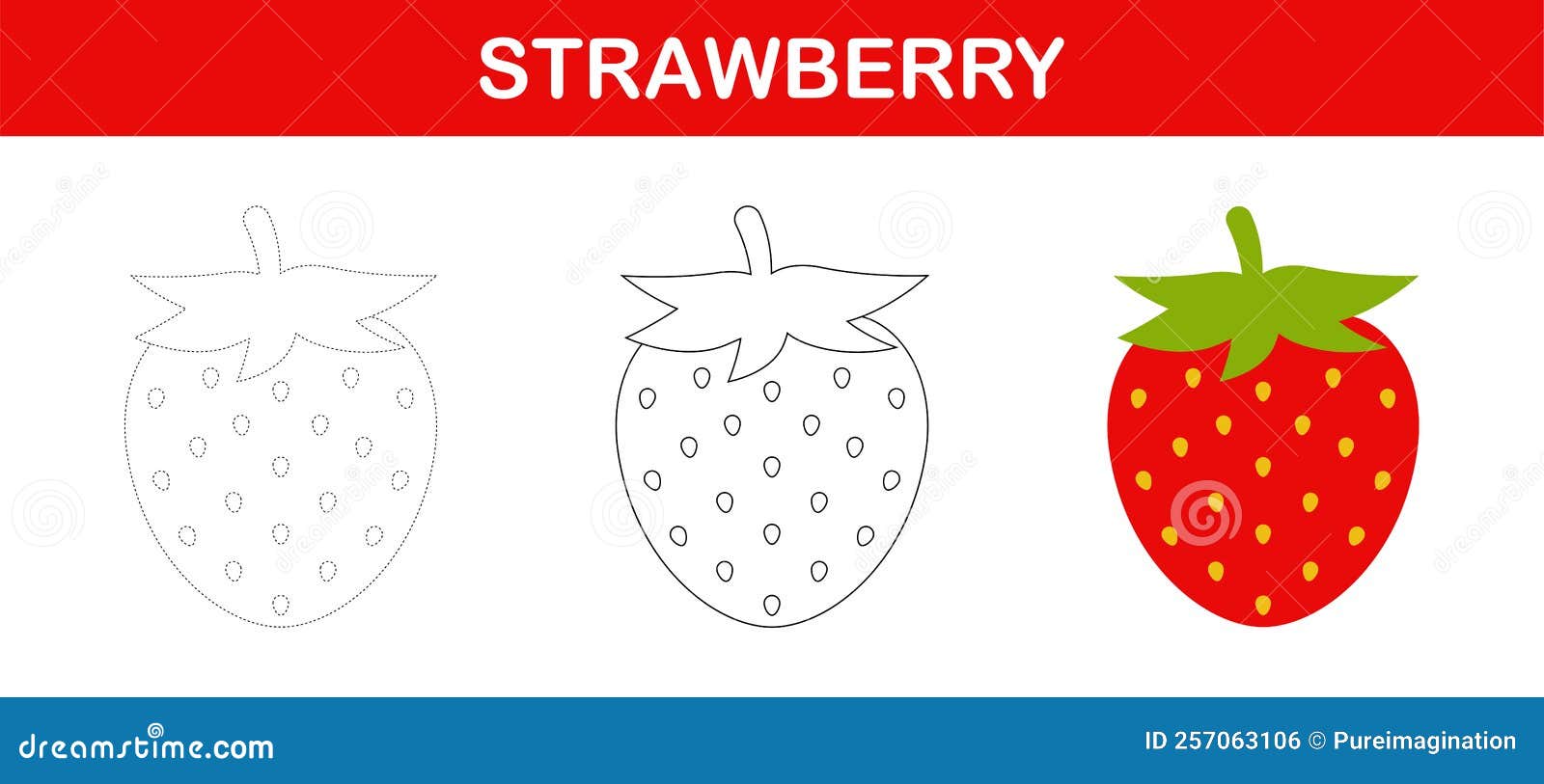 Strawberry Tracing and Coloring Worksheet for Kids Stock Vector ...