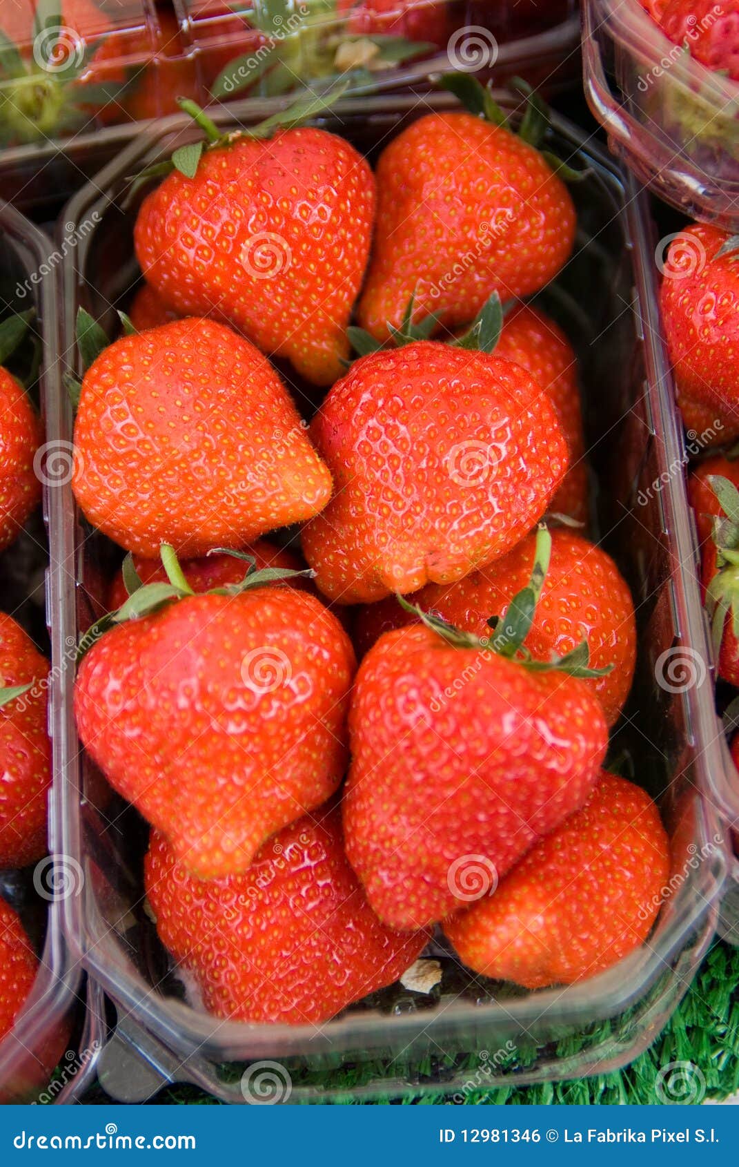 Strawberry tray stock photo. Image of ingredient, market - 12981346