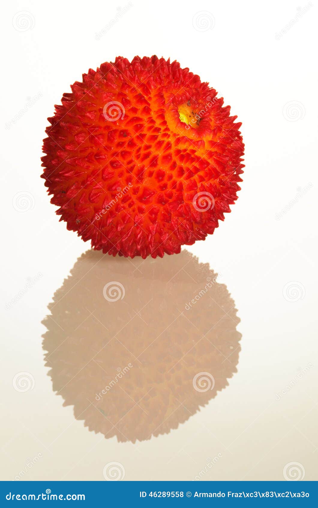 Strawberry Tree Fruit and Reflection Stock Photo - Image of berry, tree ...
