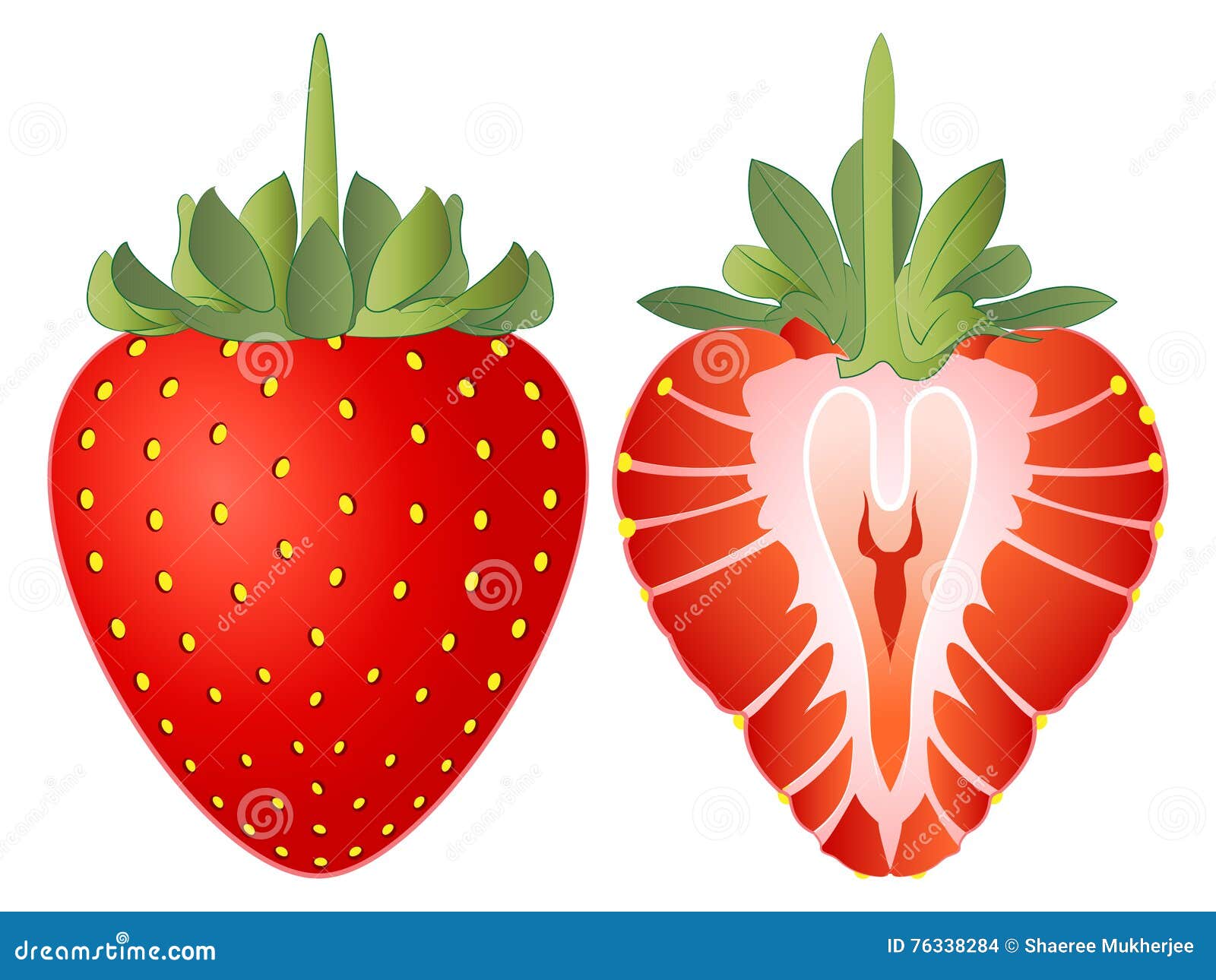 Strawberry Vector Illustration Stock Vector Illustration Of Food Strawberry 76338284
