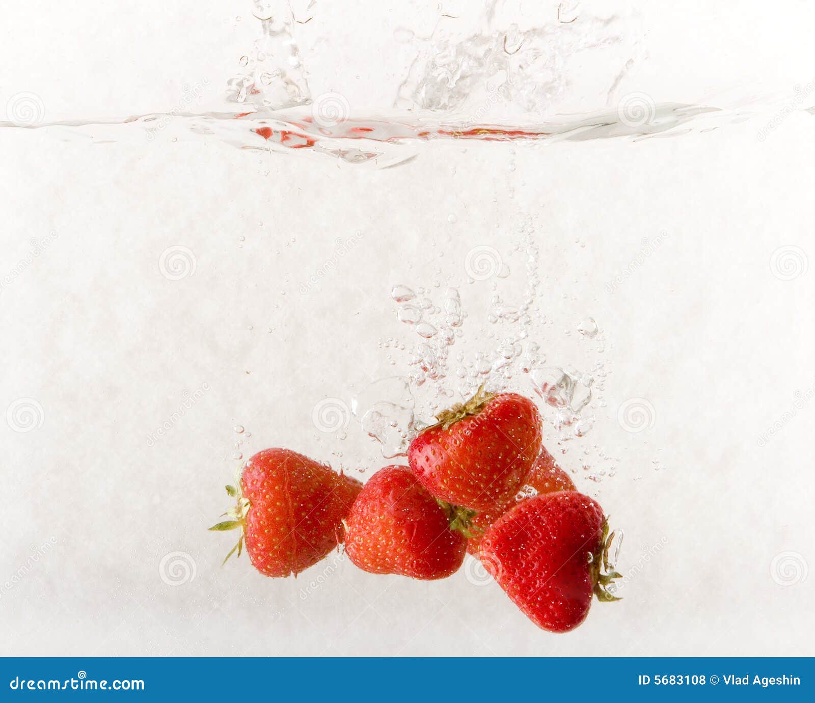 Strawberry in water stock photo. Image of single, dessert - 5683108