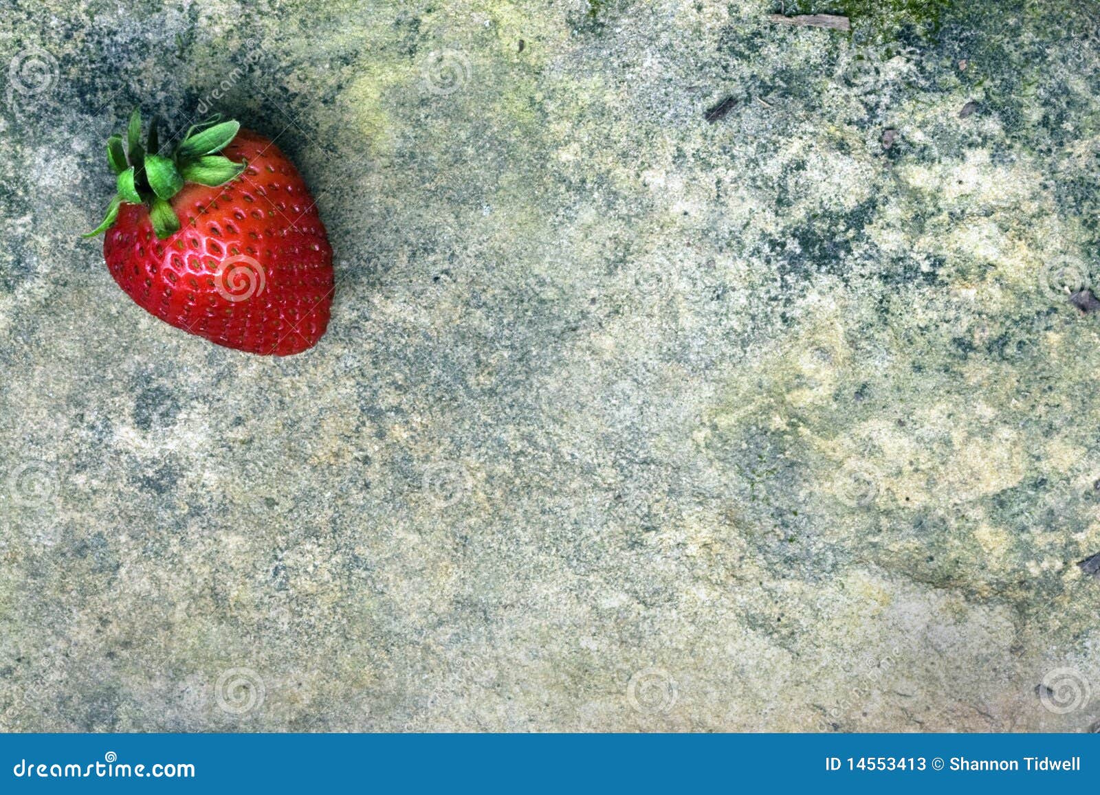Strawberry on Weathered Rock Stock Image - Image of bright, stone: 14553413