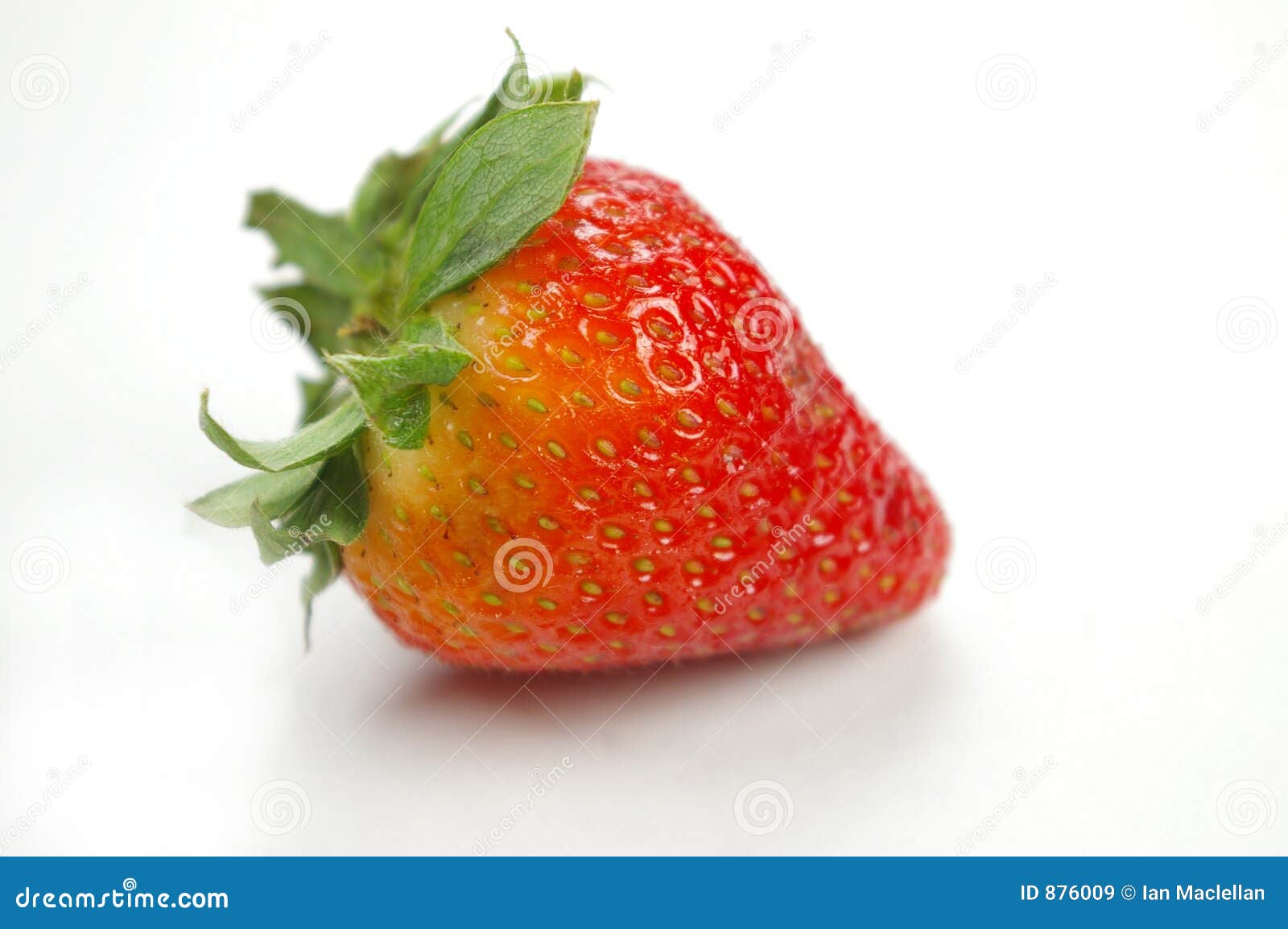 Strawberry on white stock image. Image of seed, fruits - 876009
