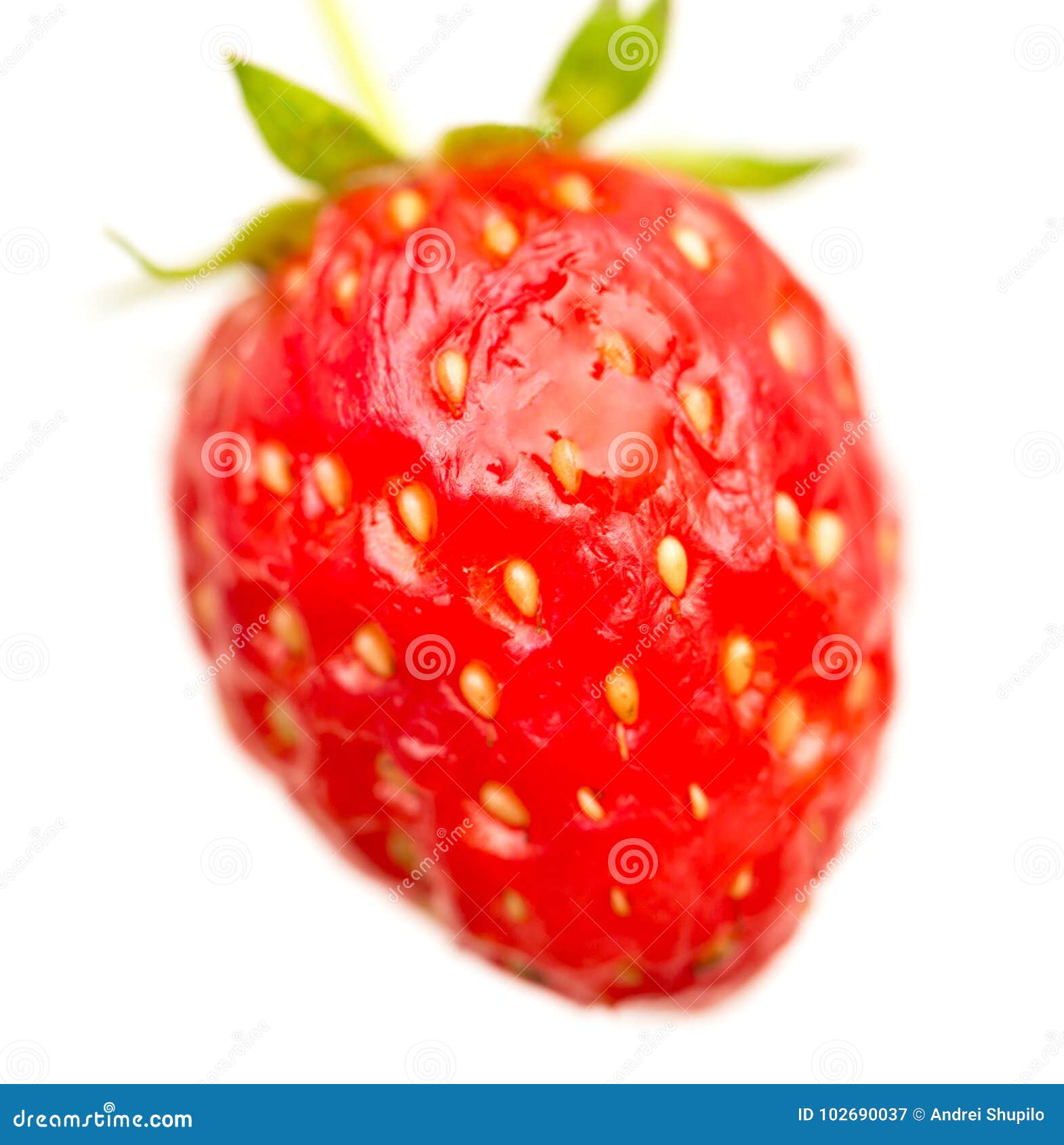 Strawberry on White Background Stock Image - Image of leaf, isolated ...