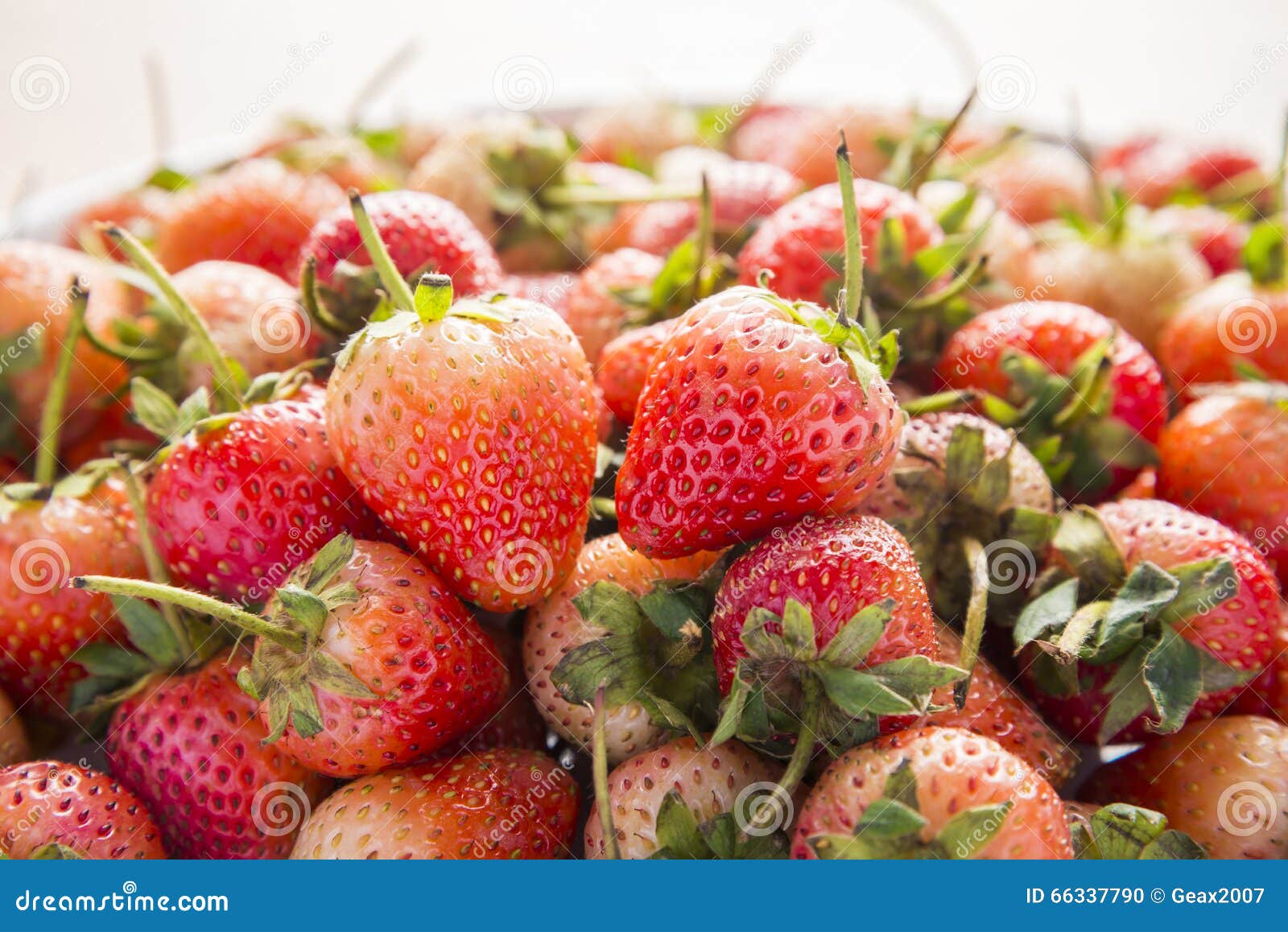 Strawbery stock photo. Image of still, life, green, nutrition - 66337790