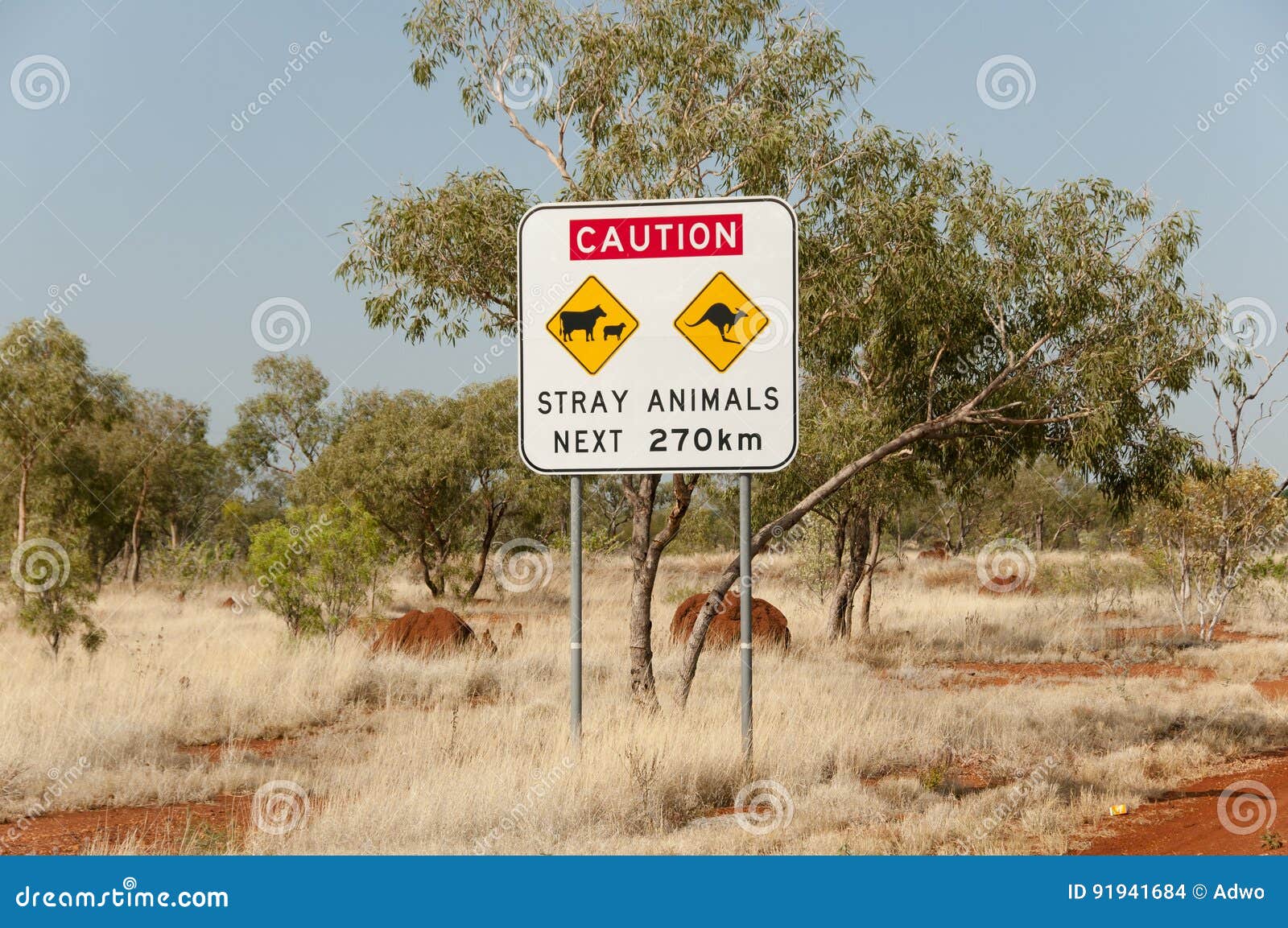 Stray Animals Road Sign - Australia Stock Photo - Image of animal ...