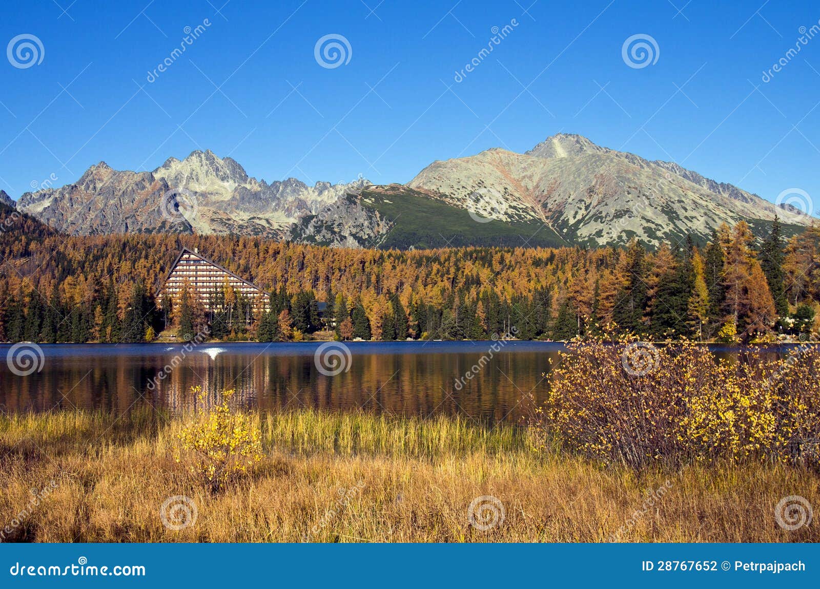 Strba lake stock photo. Image of landscape, high, strba - 28767652