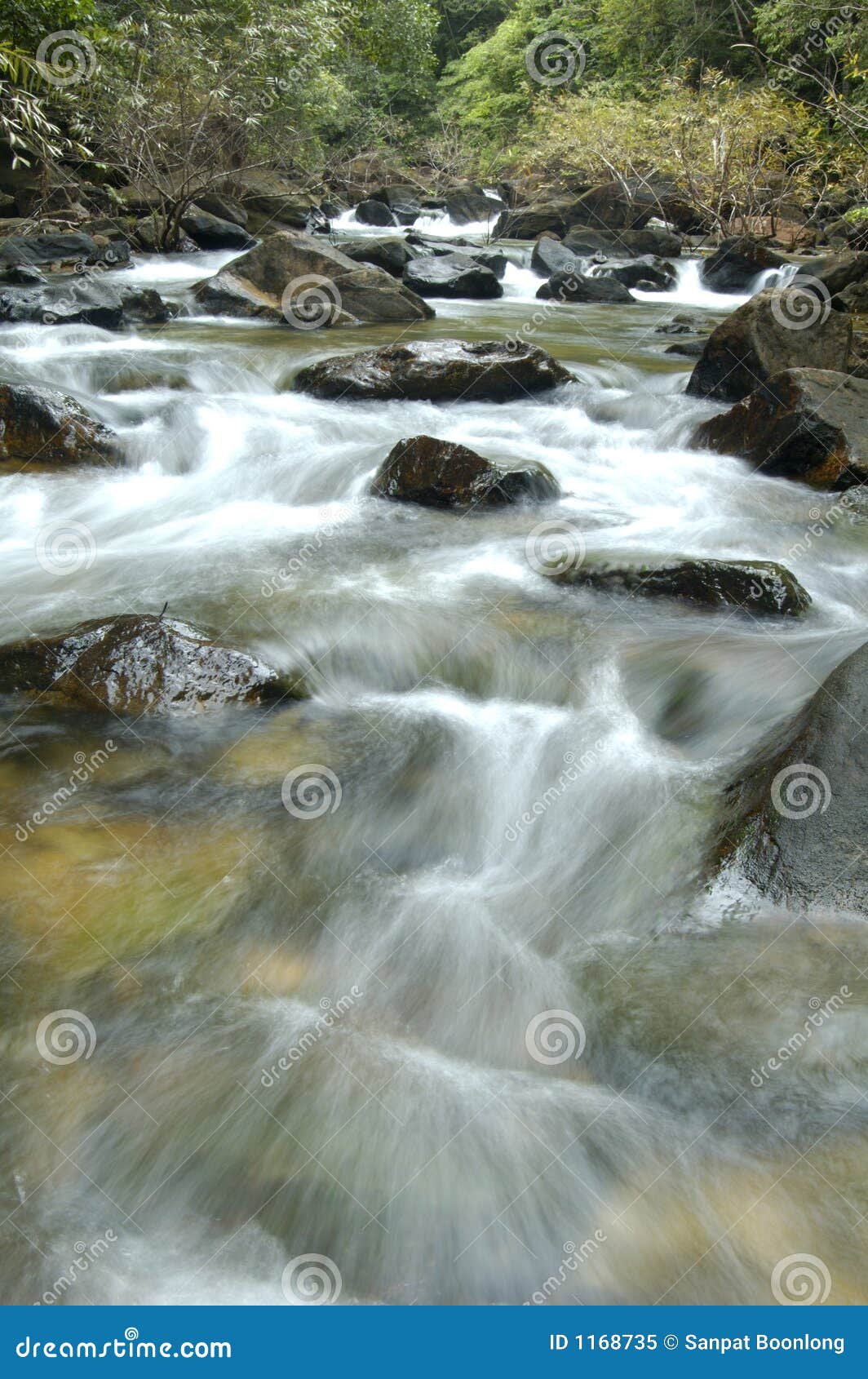 Stream stock image. Image of refreshing, flowing, autumn - 1168735