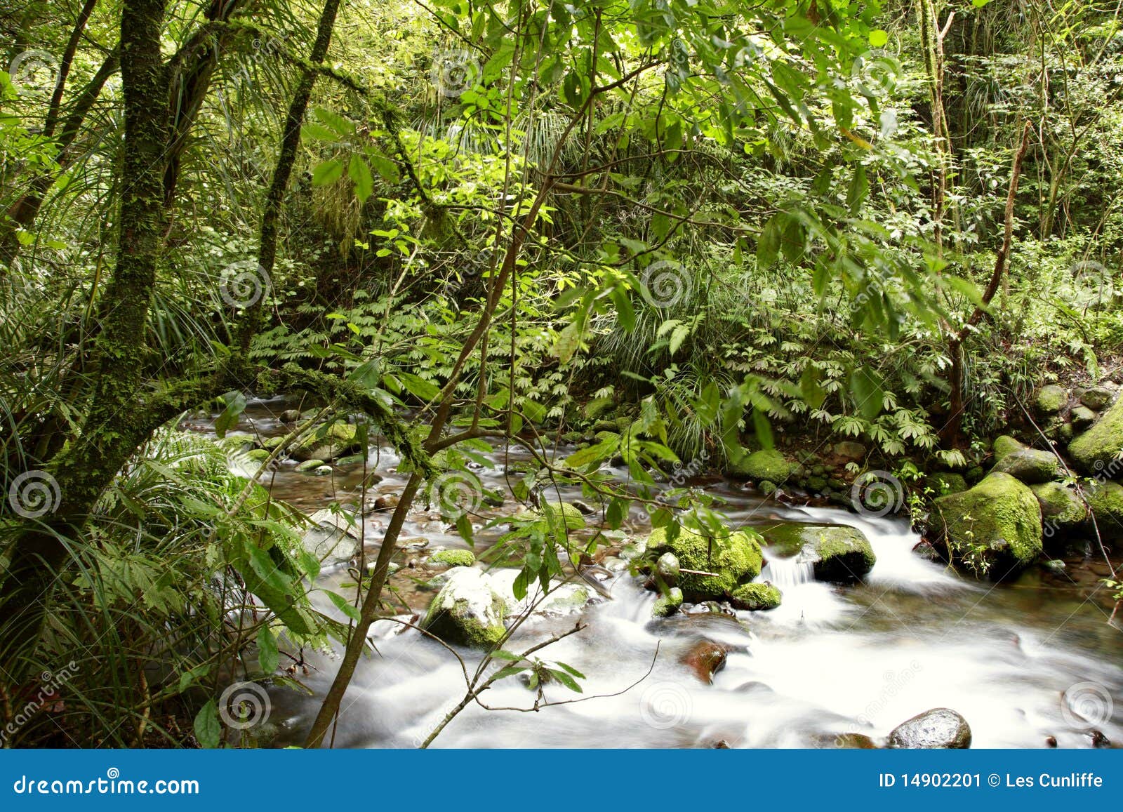 Stream stock image. Image of cascade, scenic, nature - 14902201