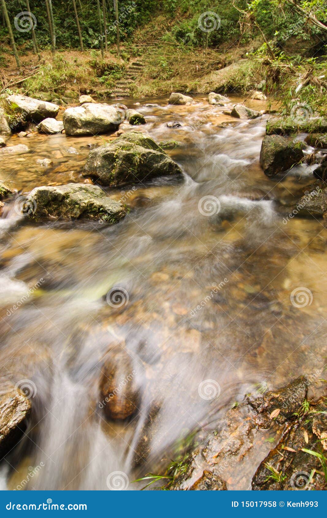 Stream stock photo. Image of grass, slow, rain, cool - 15017958