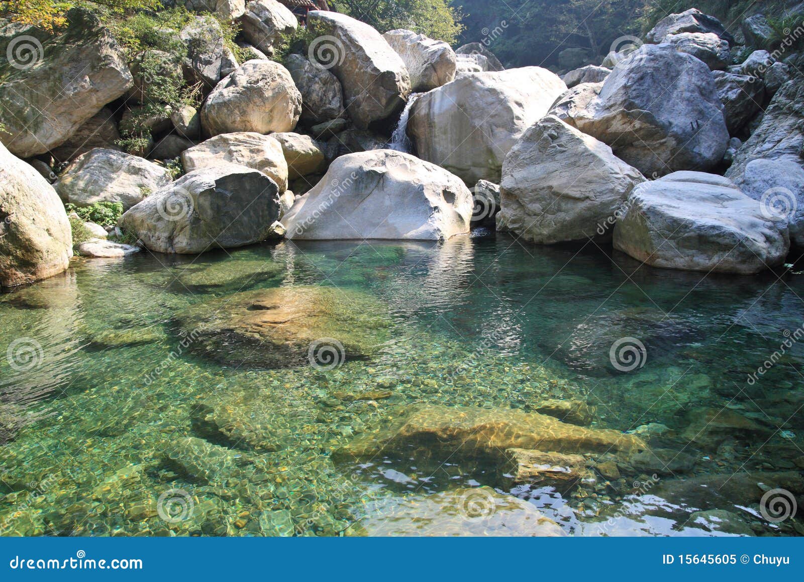 Stream stock image. Image of shiny, sunlight, forest - 15645605