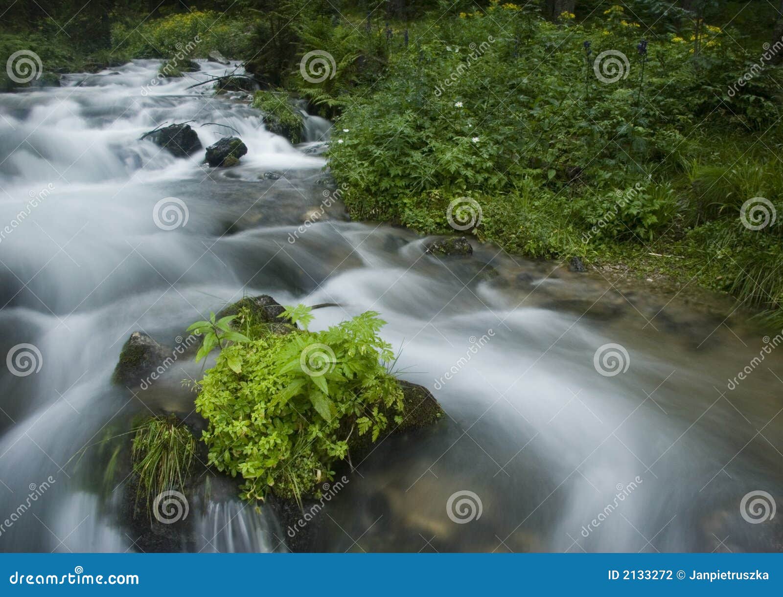 Stream stock photo. Image of park, streams, damp, drops - 2133272