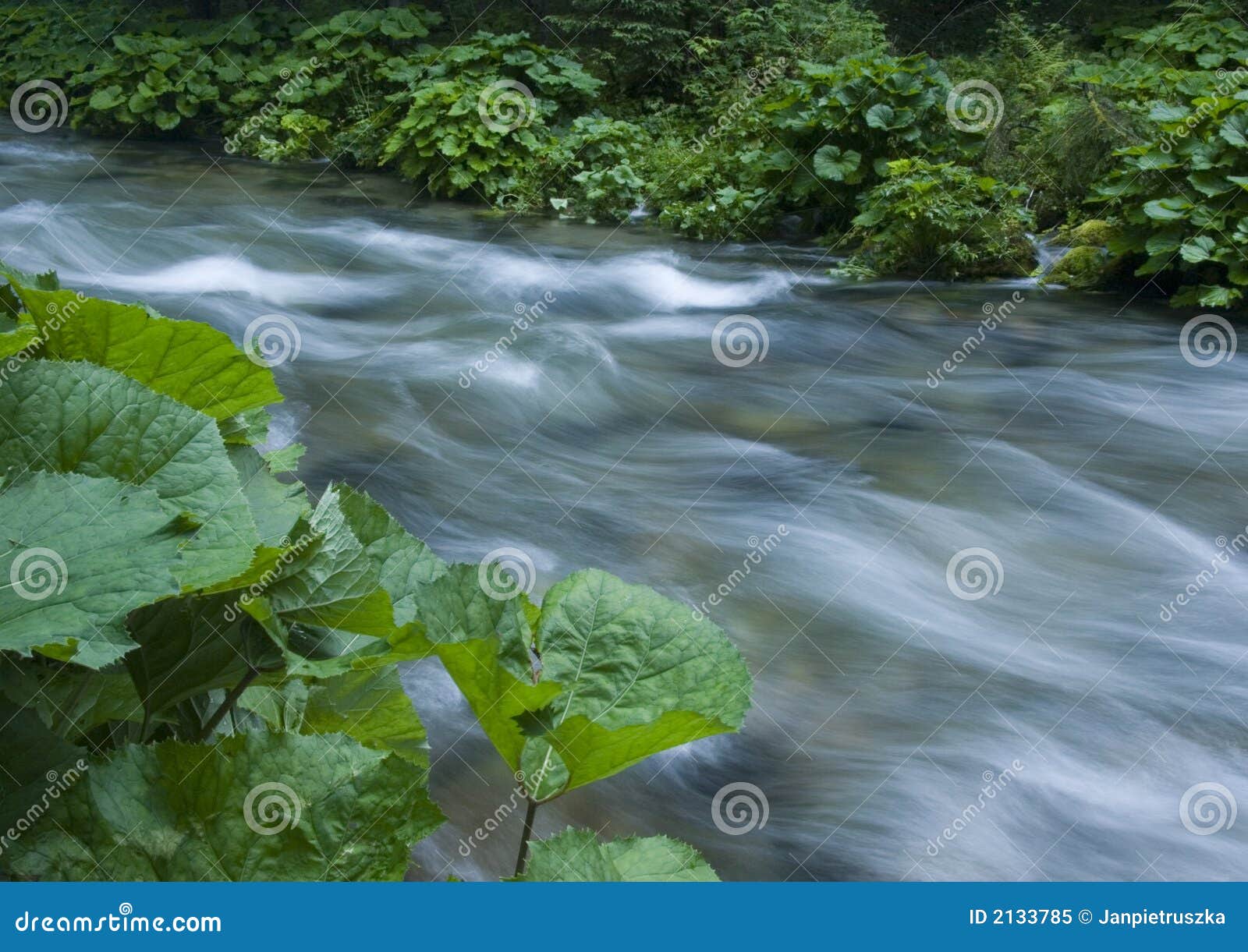 Stream stock image. Image of streams, mountain, rivers - 2133785