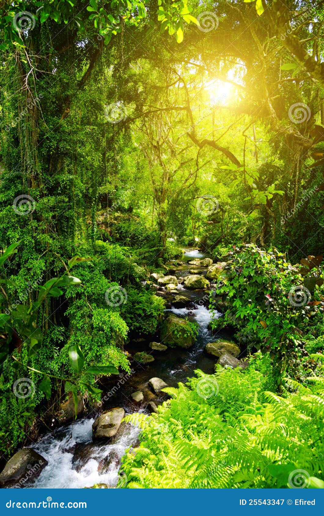 Stream stock image. Image of beauty, scenery, cascade - 25543347