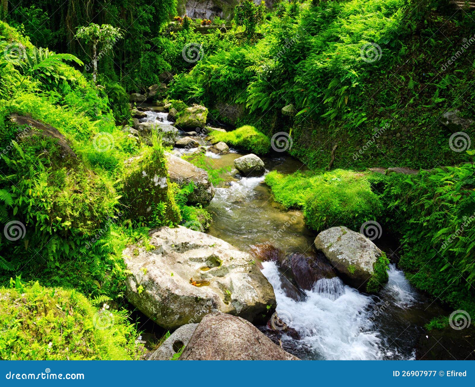 Stream stock image. Image of beautiful, foliage, light - 26907977