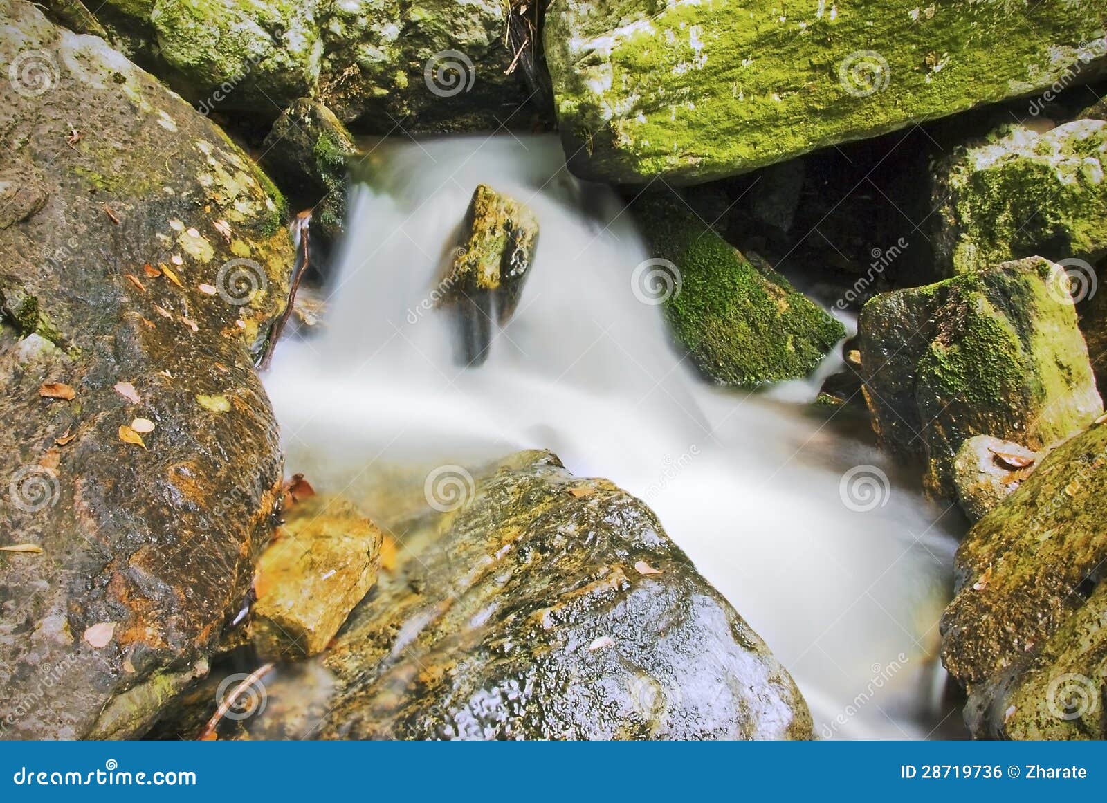 Stream stock photo. Image of water, outdoors, beauty - 28719736