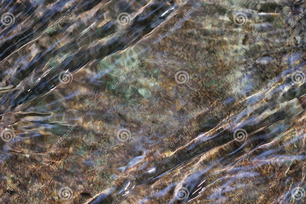 Stream stock image. Image of life, peaceful, flow, rivulet - 29123747