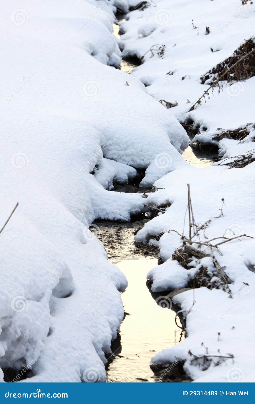 Stream stock image. Image of scenery, landscape, stream - 29314489