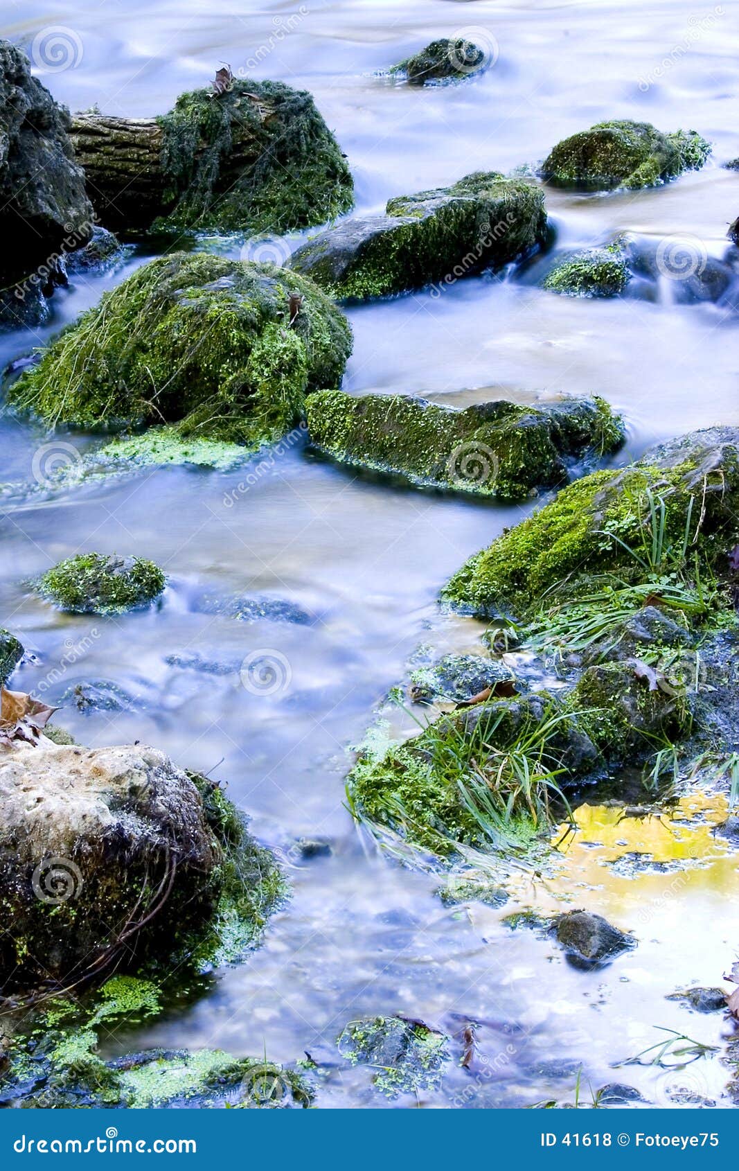 Stream stock photo. Image of smooth, creek, spring, reflecting - 41618