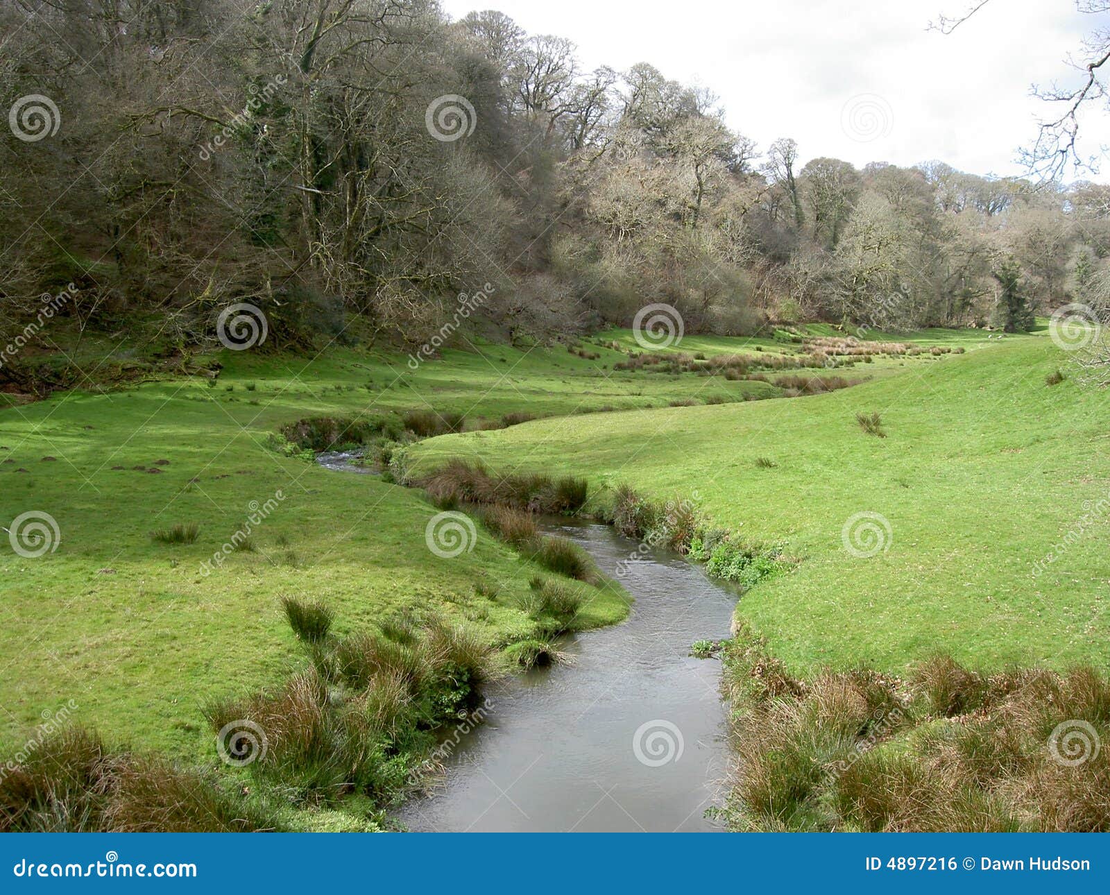 Stream stock photo. Image of green, fields, flowing, nature - 4897216