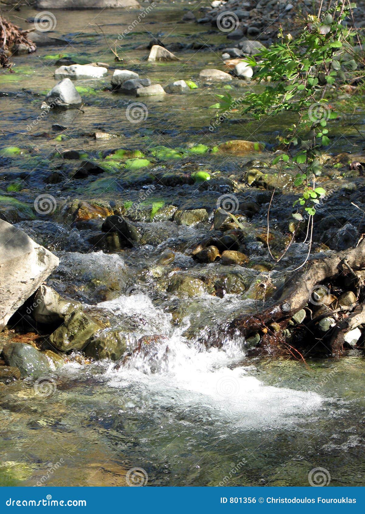 Stream stock photo. Image of rivers, streams, nature, water - 801356