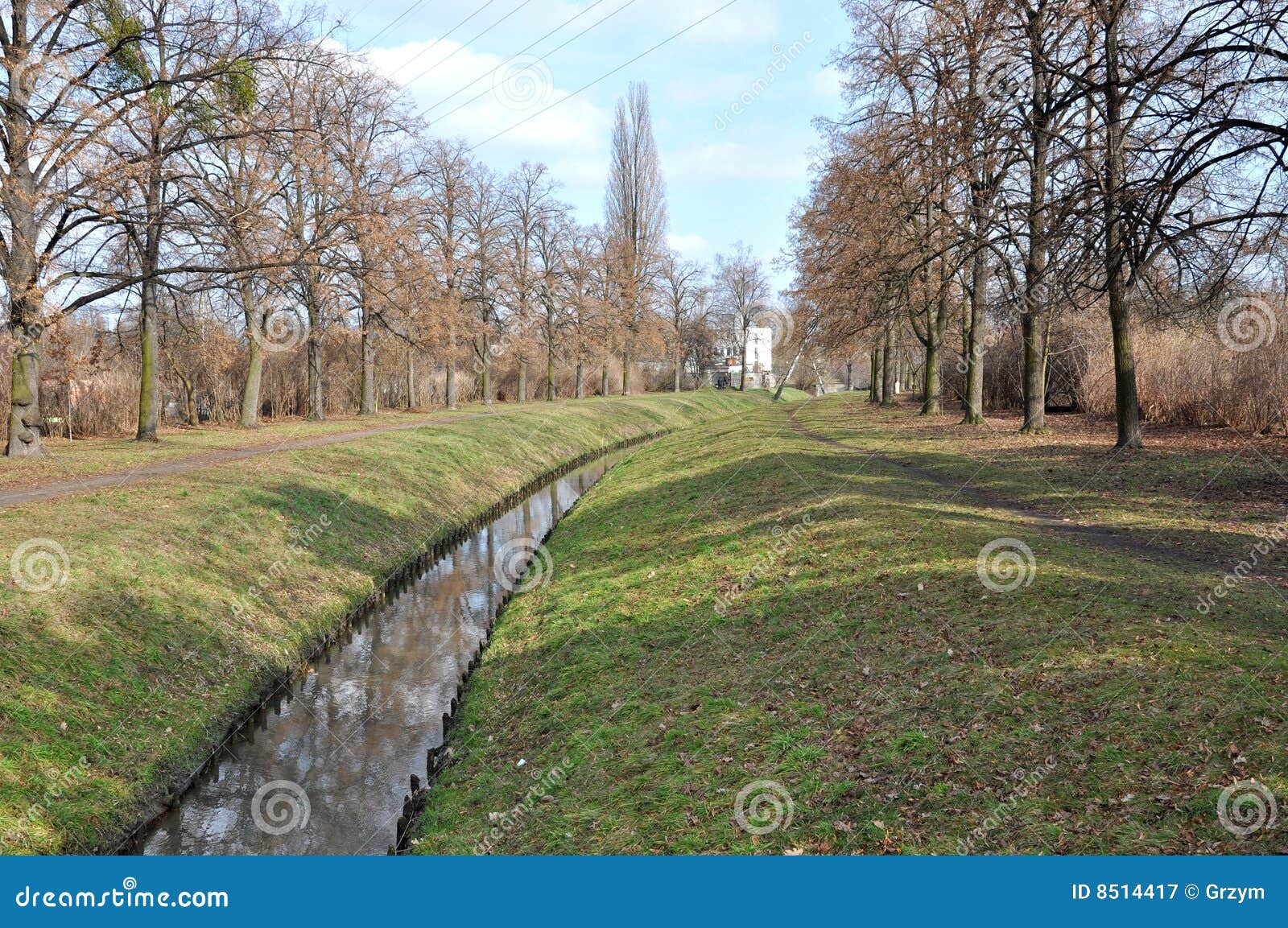 Stream stock image. Image of view, grass, field, blue - 8514417