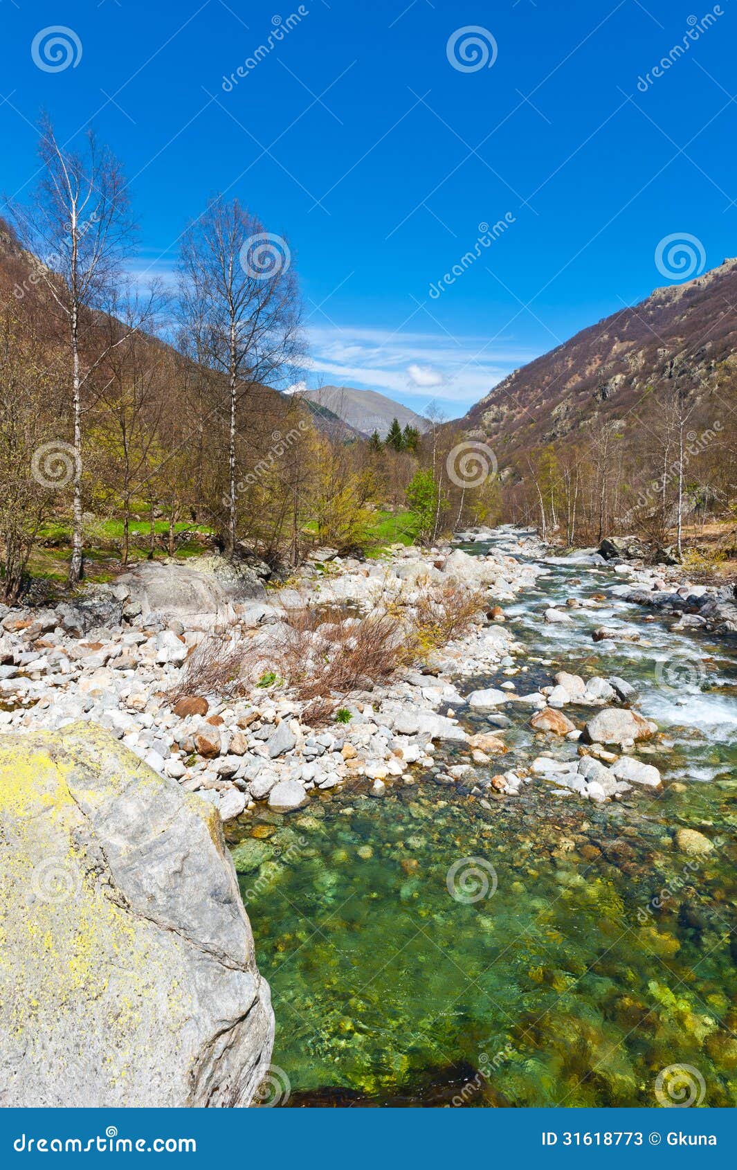 Stream in the Alps stock image. Image of clean, outdoor - 31618773