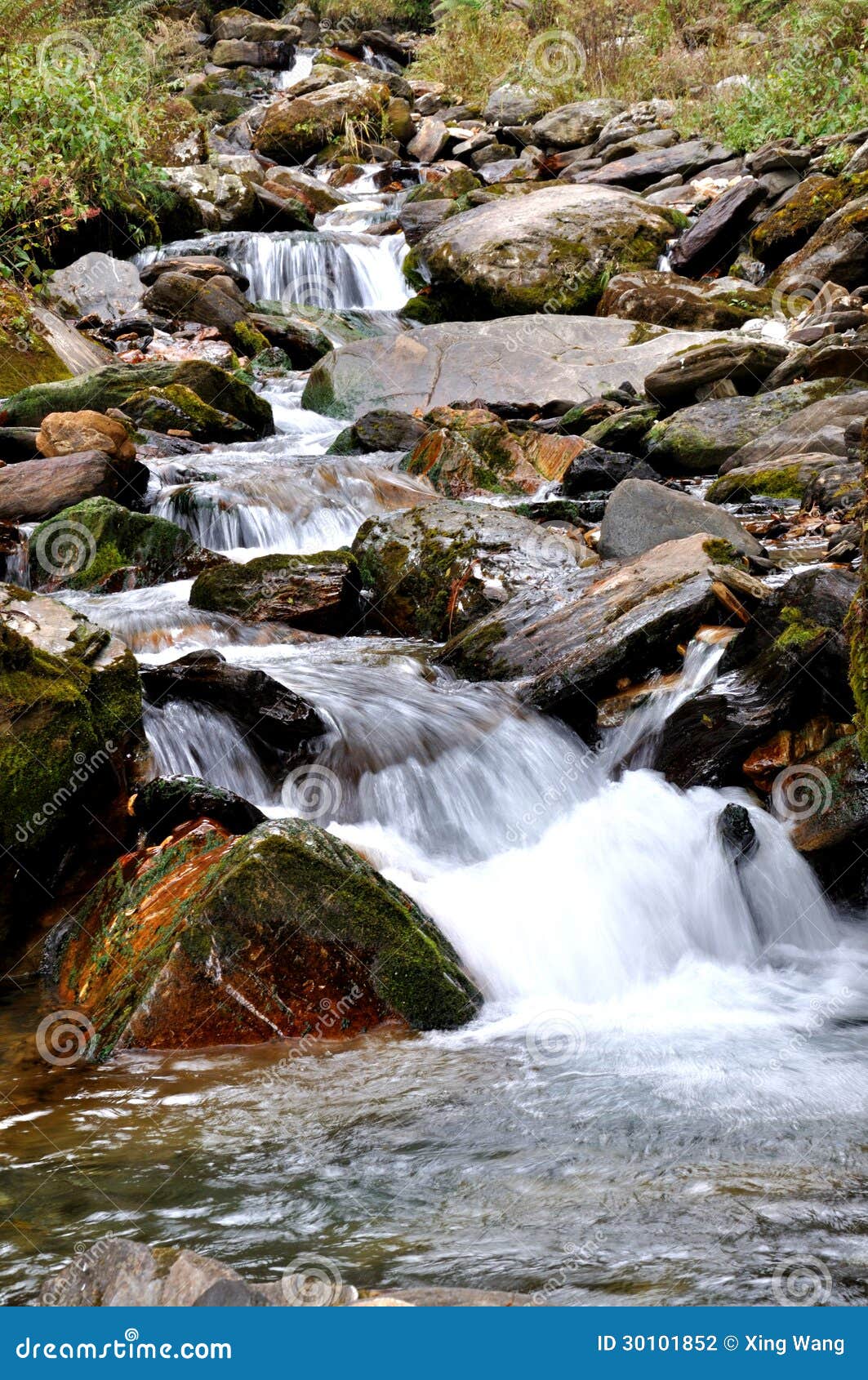 Stream in Himalayas stock photo. Image of barren, colorful - 30101852
