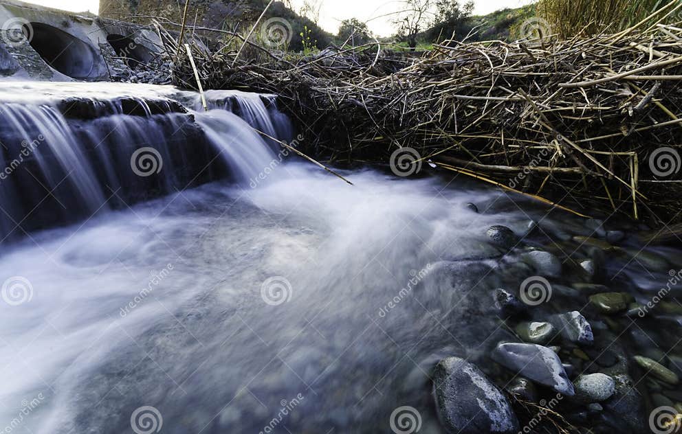 Stream through Artificial Ducts Stock Image - Image of bush, nature ...