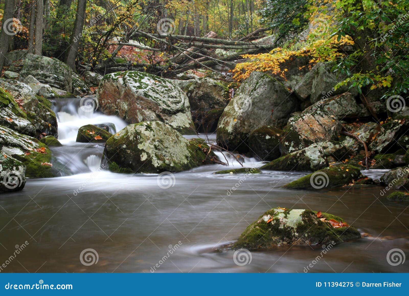 Stream during Autumn stock image. Image of drop, nature - 11394275