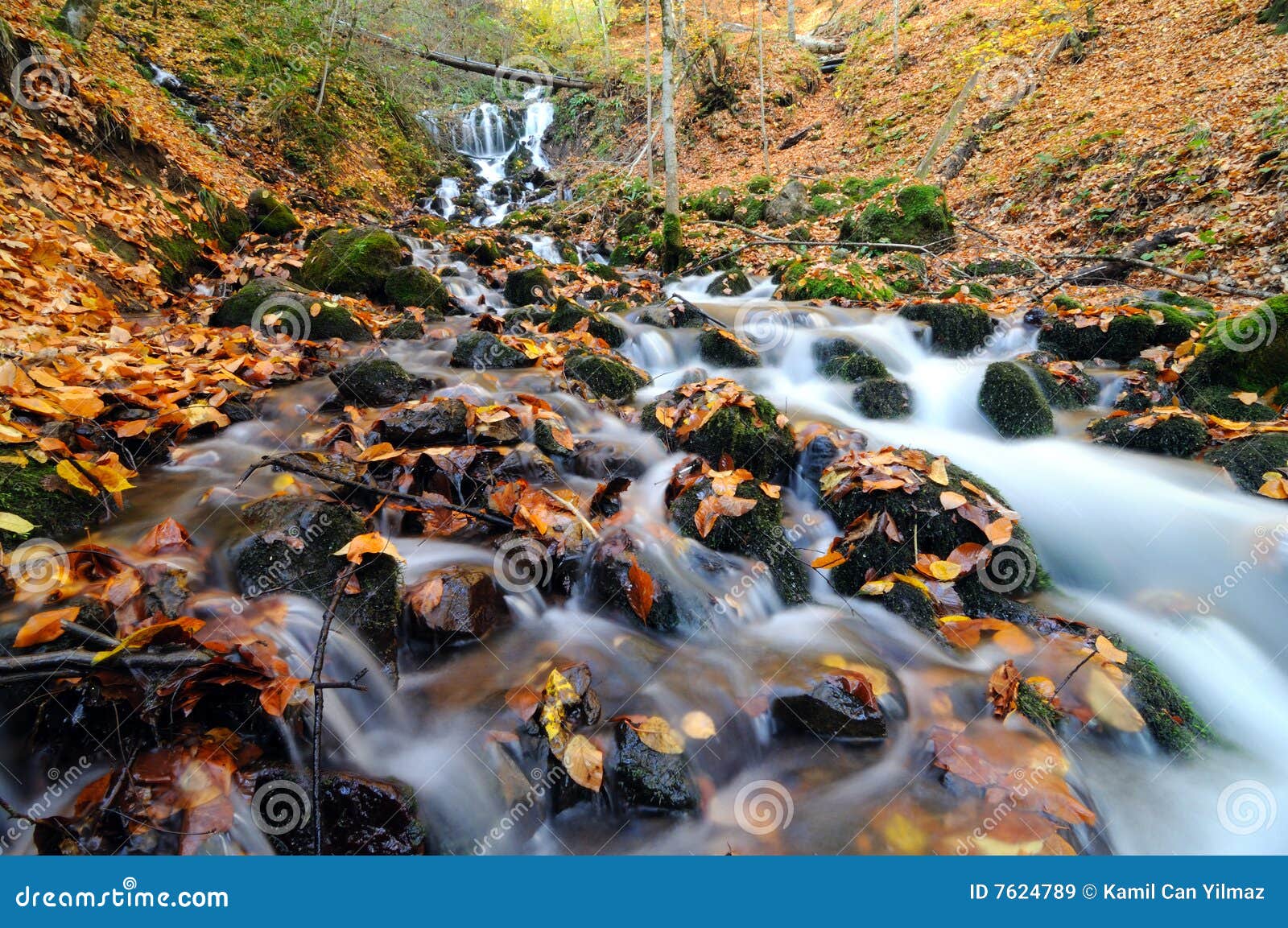 Stream in autumn stock image. Image of countryside, motion - 7624789