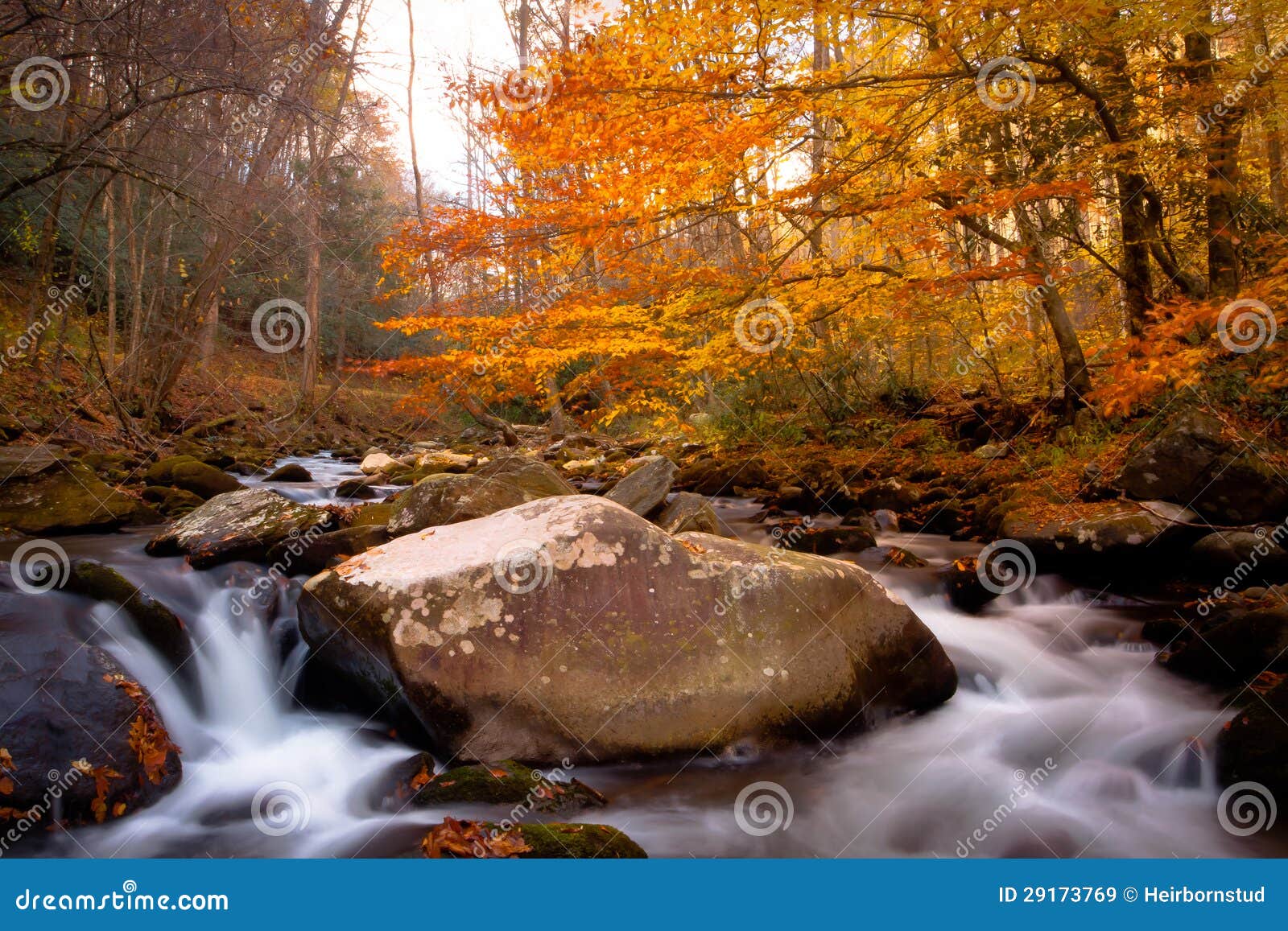 Stream in autumn forest stock image. Image of nature - 29173769