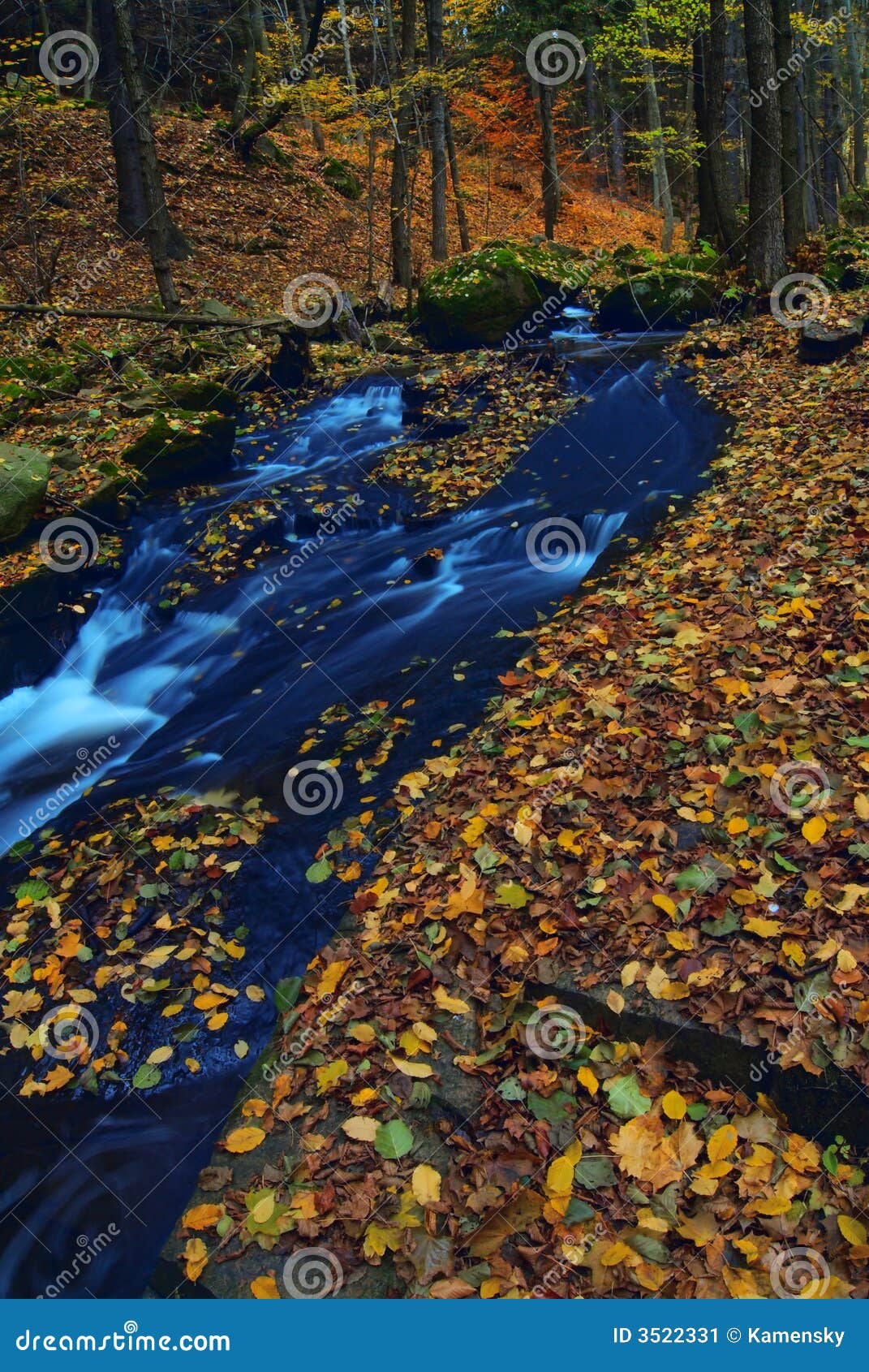 Stream in autumn forest stock image. Image of slow, leafy - 3522331