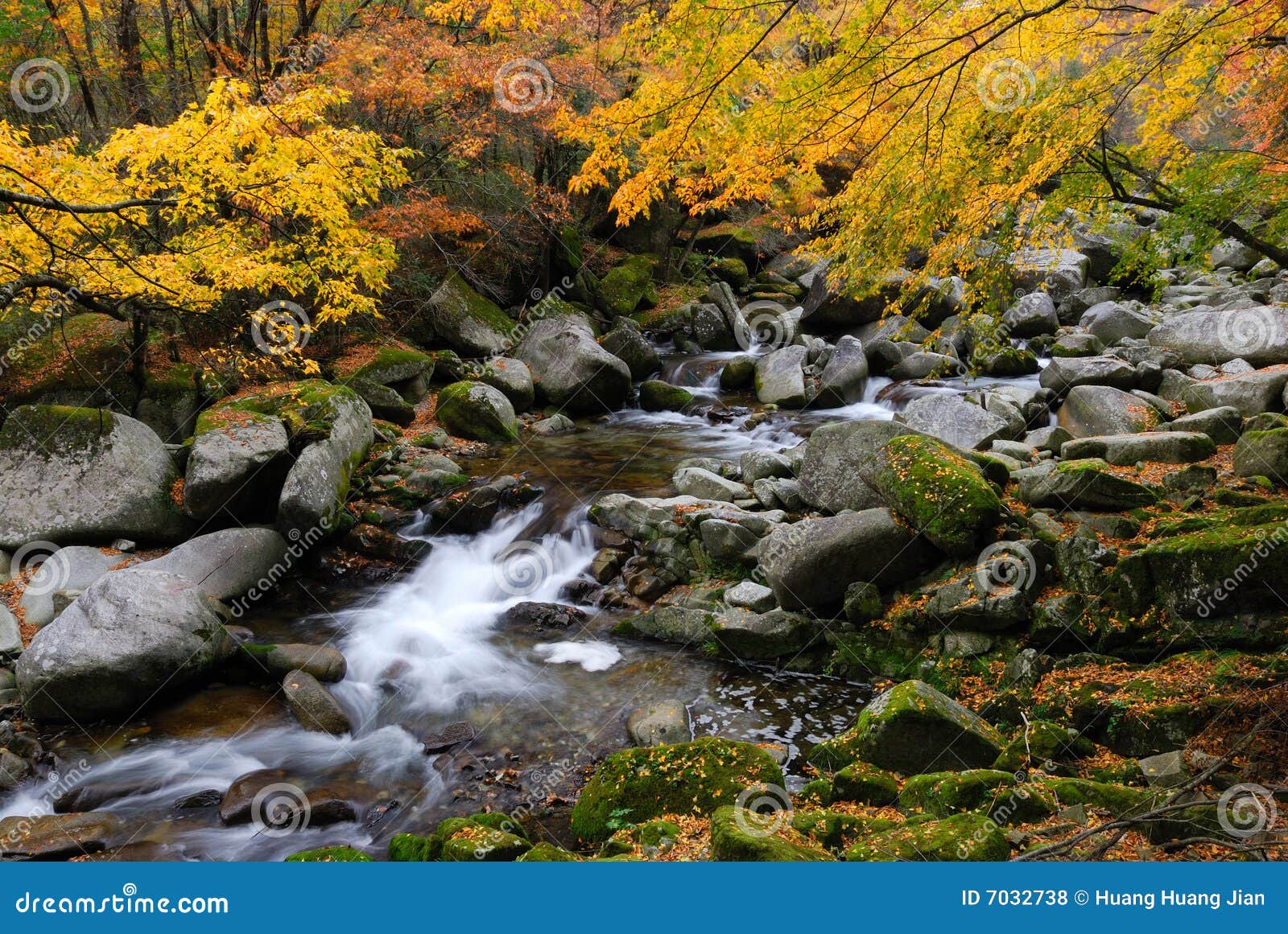Stream in Autumn forest stock photo. Image of rocks, waters - 7032738