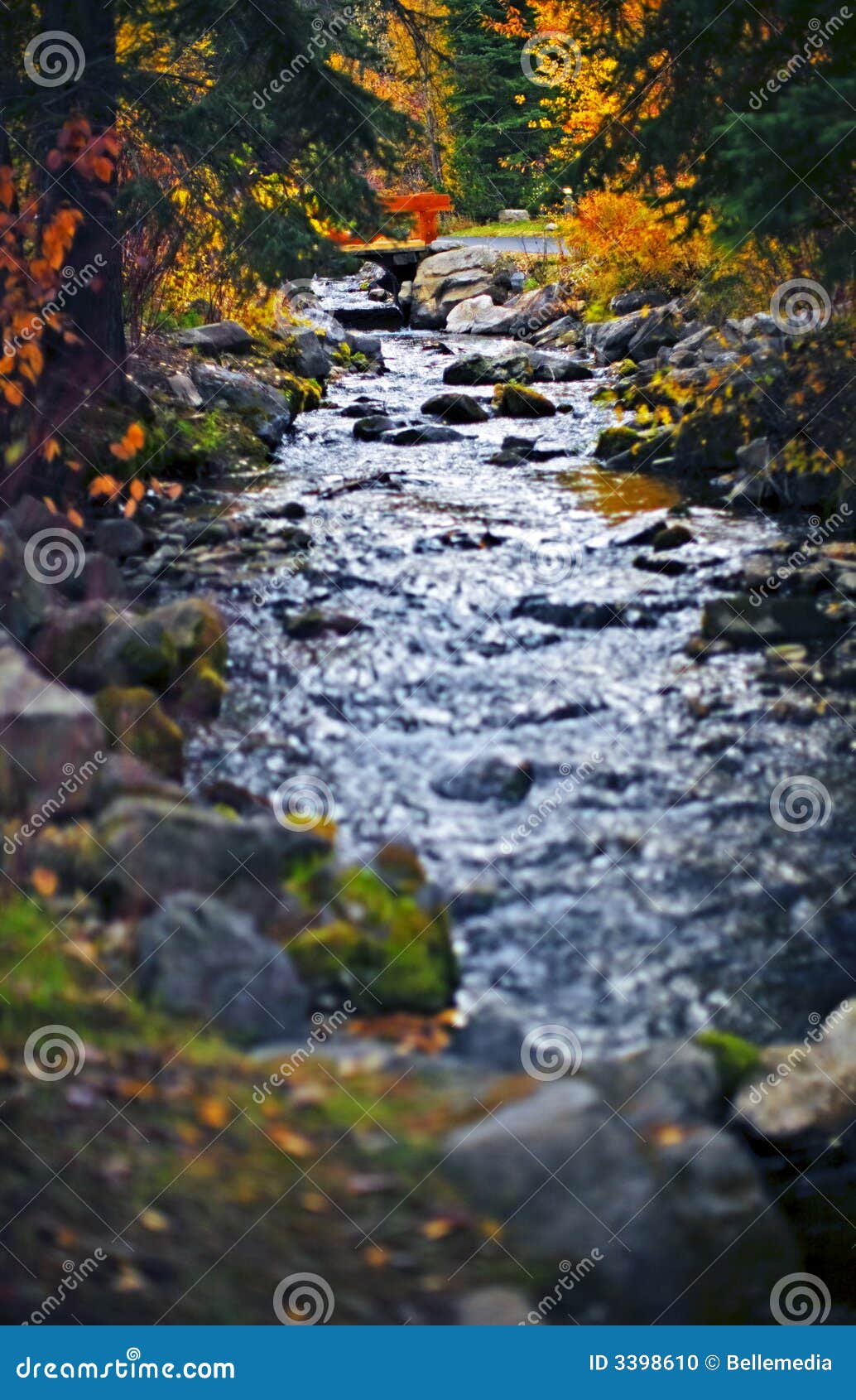 Stream and autumn leaves stock photo. Image of eternity - 3398610