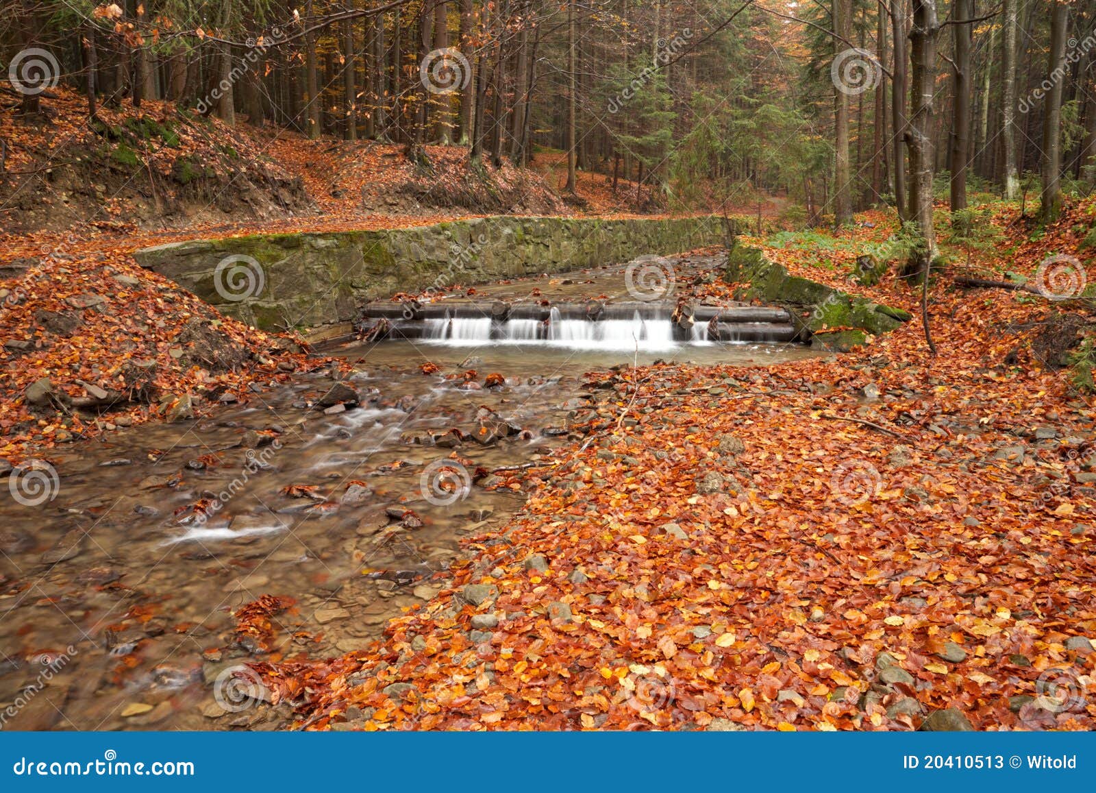Stream in the autumn woods stock image. Image of stream - 20410513