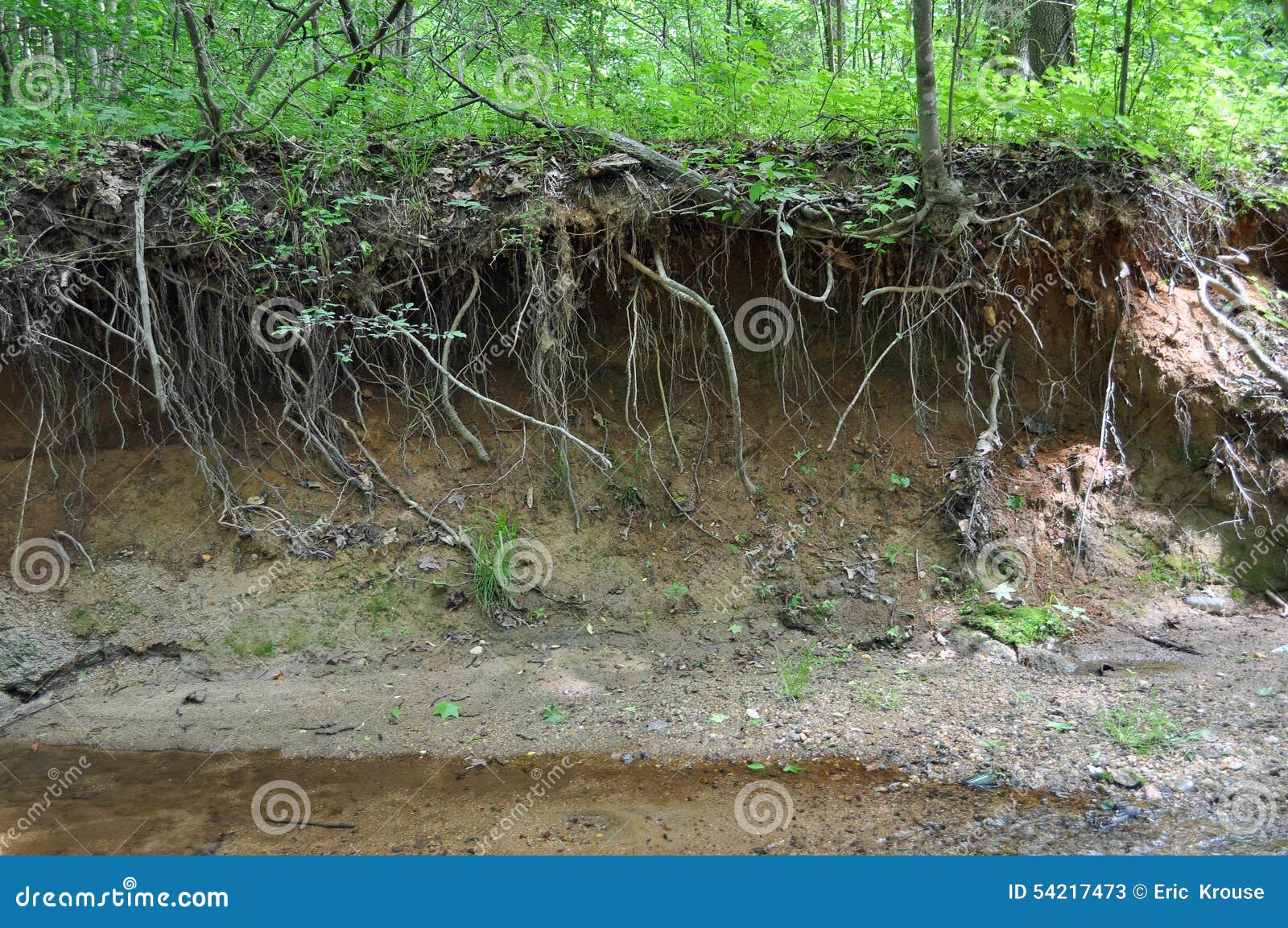Stream Bank Erosion stock image. Image of dirty, light - 54217473