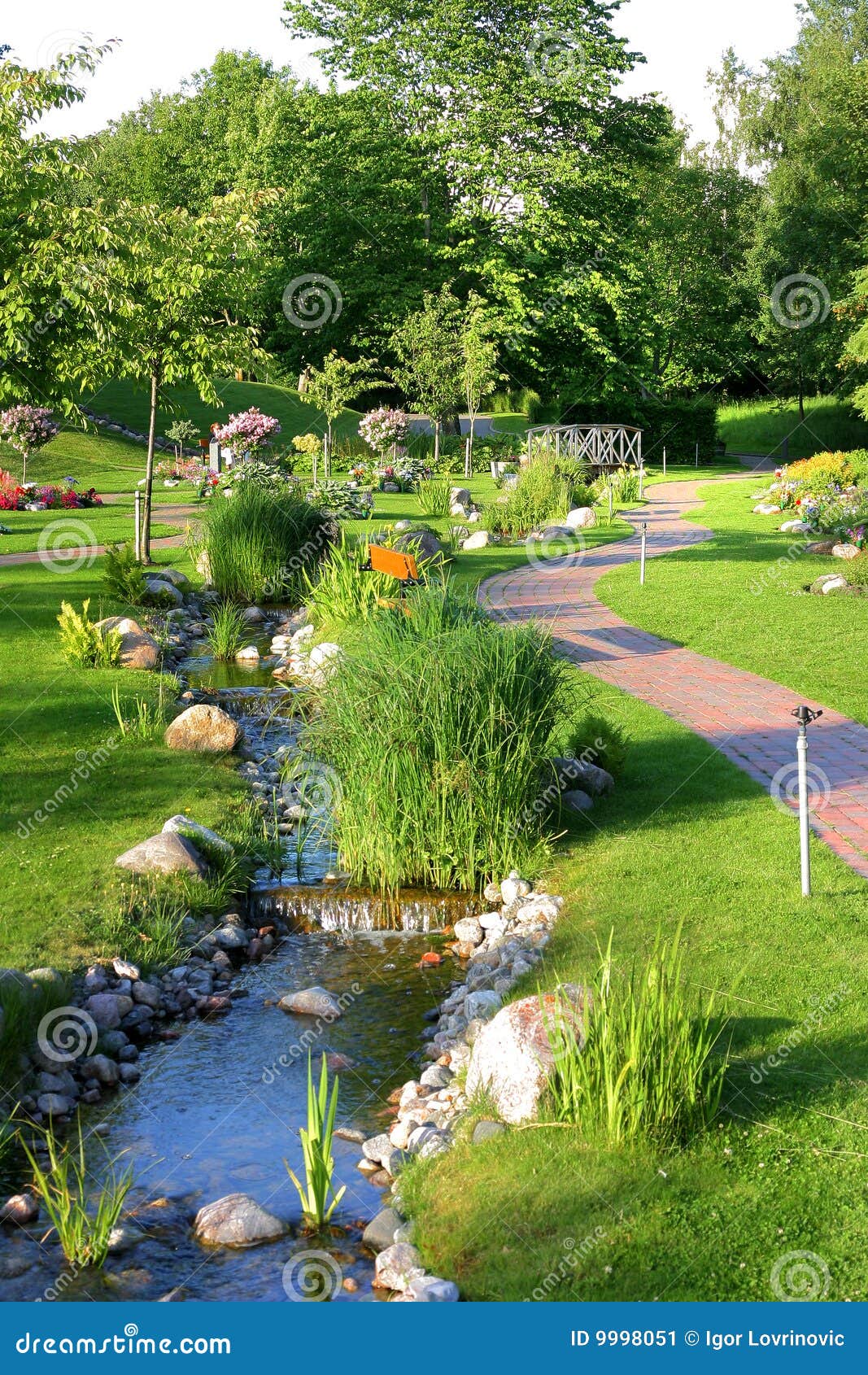 Stream in a beautiful park stock image. Image of rivers - 9998051 Stream in a beautiful park stock image. Image of rivers - 9998051