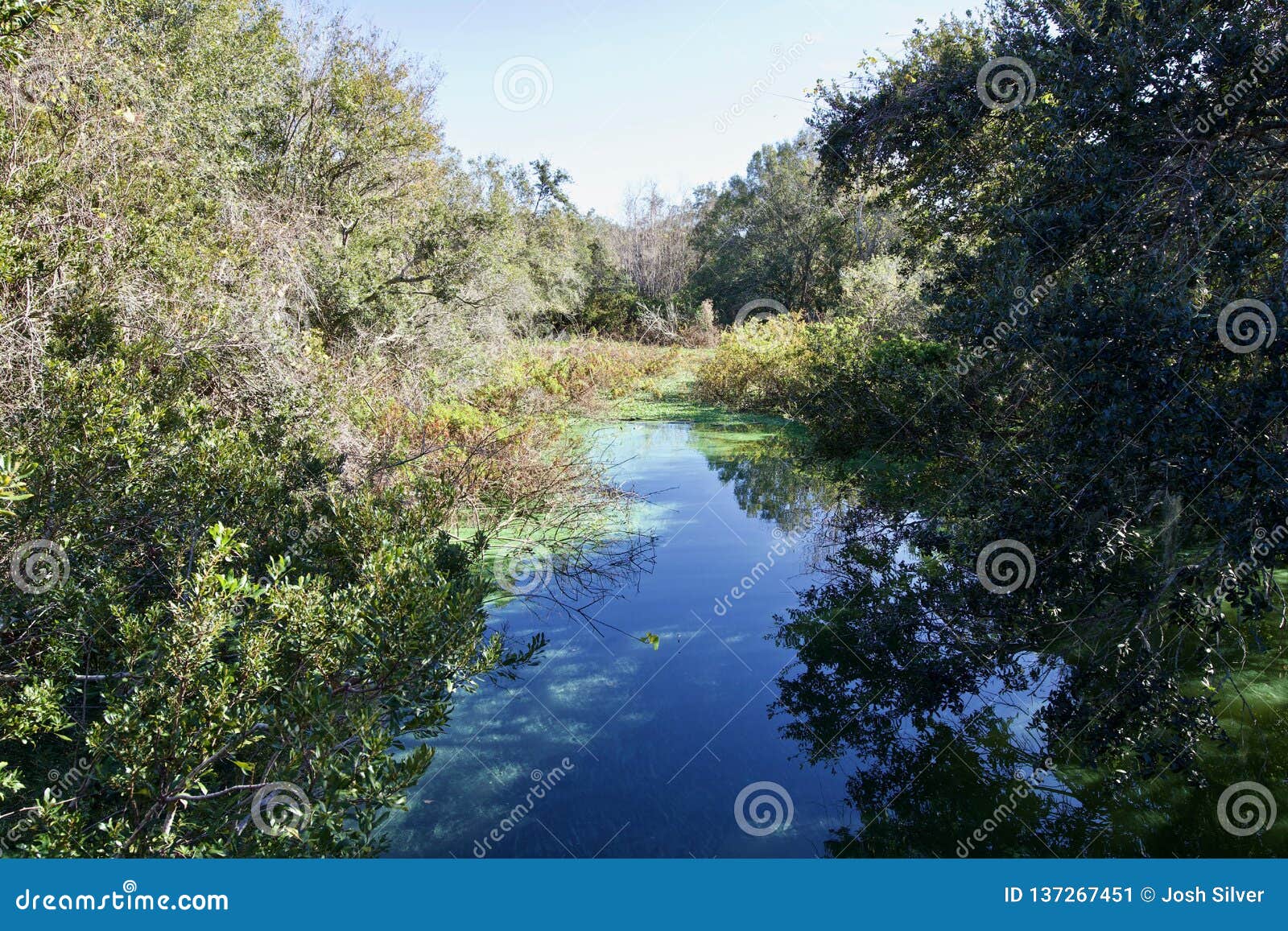 Stream in Eagle Lake Park stock image. Image of lakefront - 137267451